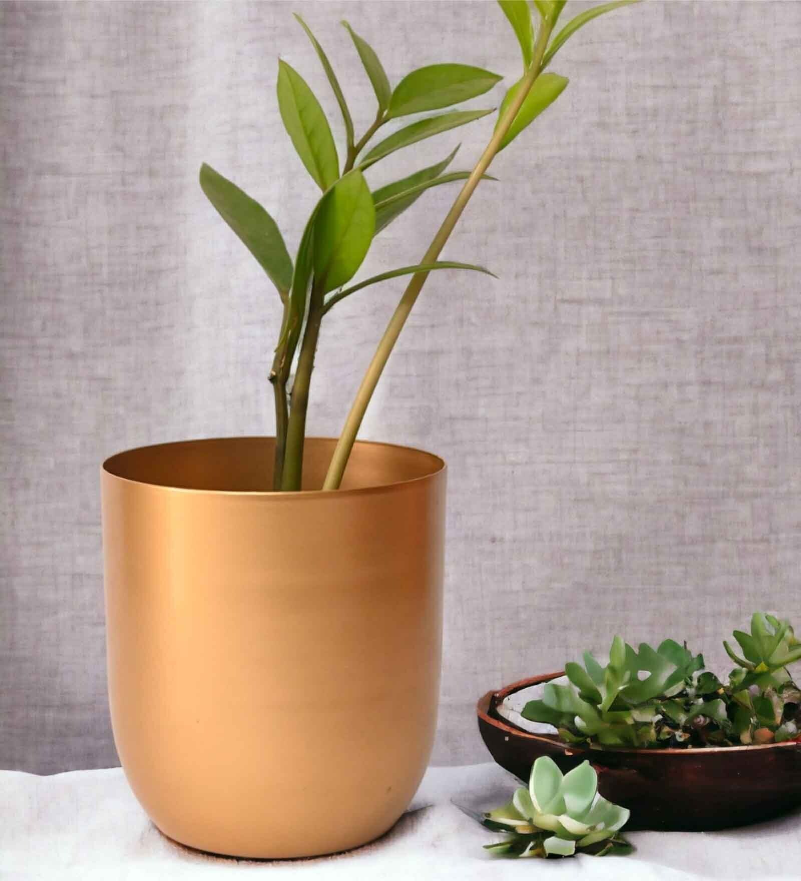 Buy Rose Bowl Round Gold Metal Desk Pot at 6% OFF by Ecofynd | Pepperfry