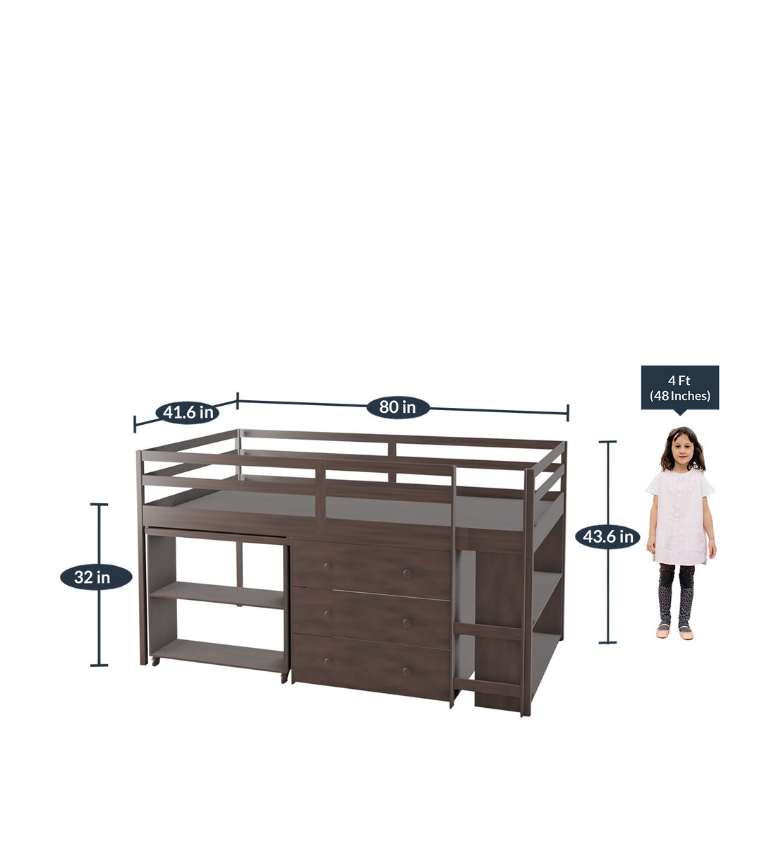 Buy Alex Bunk Bed in Brown Colour by Malina Online - Bunk Beds - Bunk ...