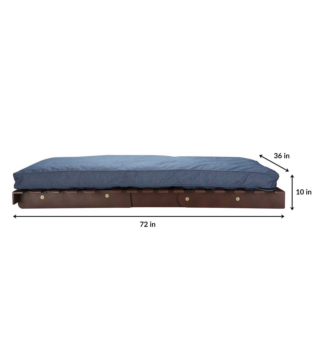 Buy Single Futon in Blue Colour with Mattress Online - Futons - Futons ...