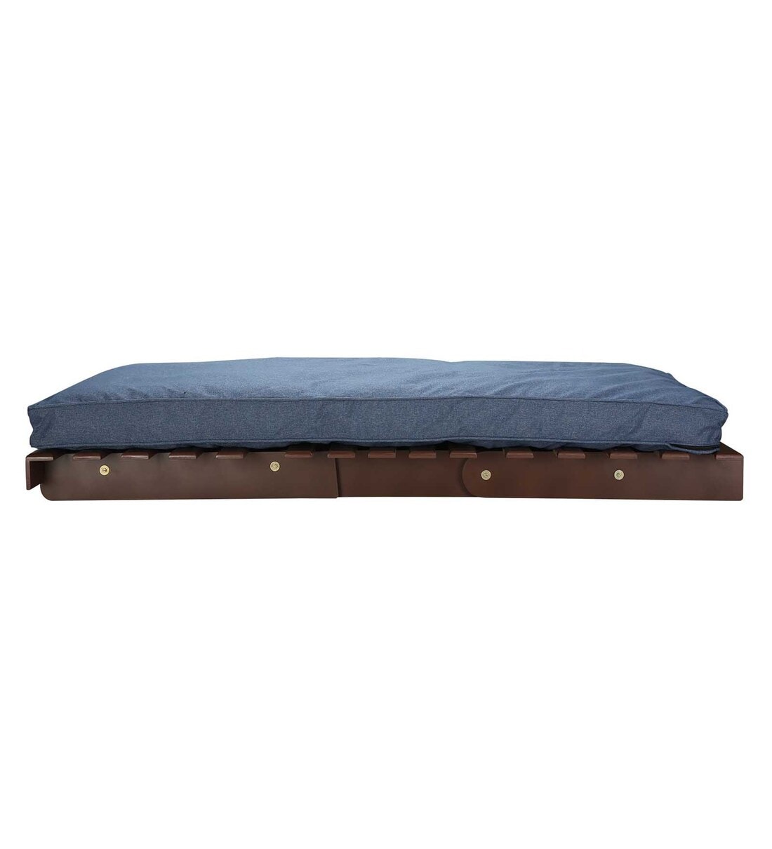 Buy Single Futon in Blue Colour with Mattress Online - Futons - Futons ...