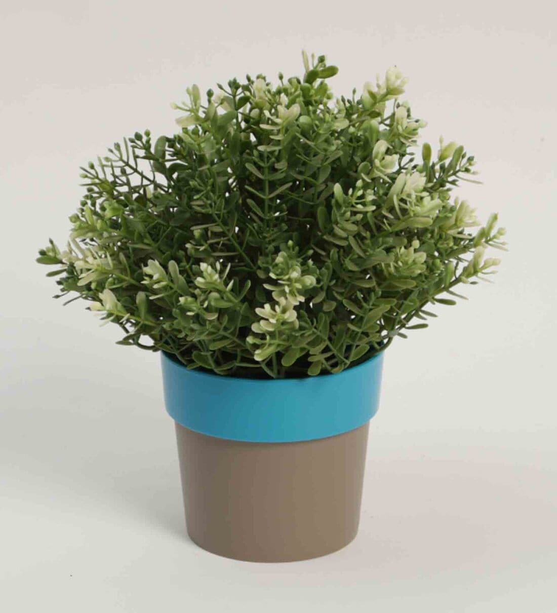 Buy Plastic Blue Flower Planter By Planters Online - Floor Planters ...