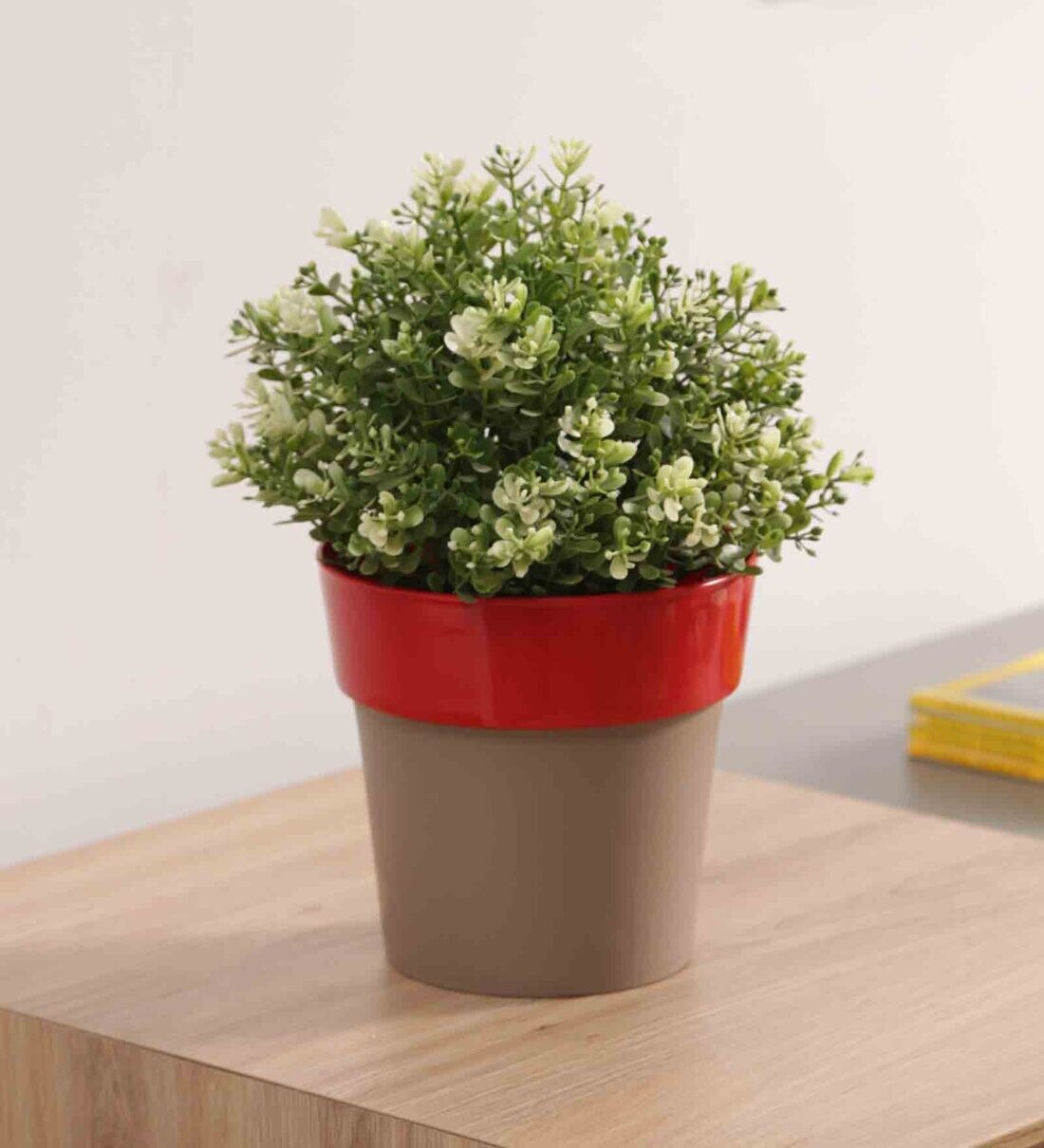 Buy Plastic Red Flower Desk Pots at 17% OFF by Planters | Pepperfry
