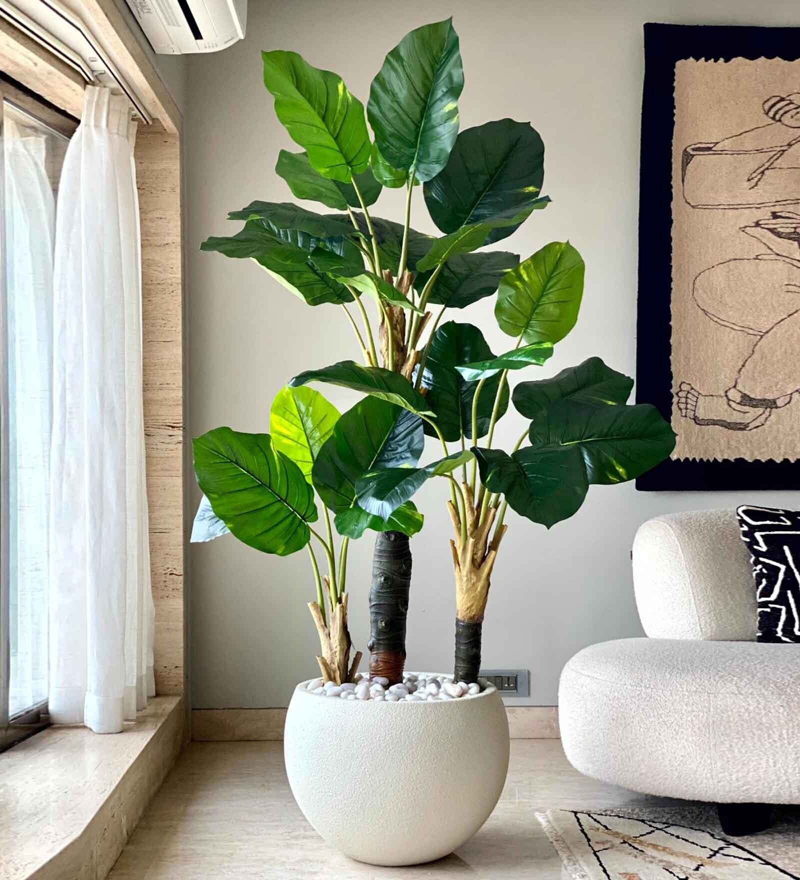 Buy Artificial Evergreen Tropical Tree - 6 Feet at 30% OFF by Mason ...