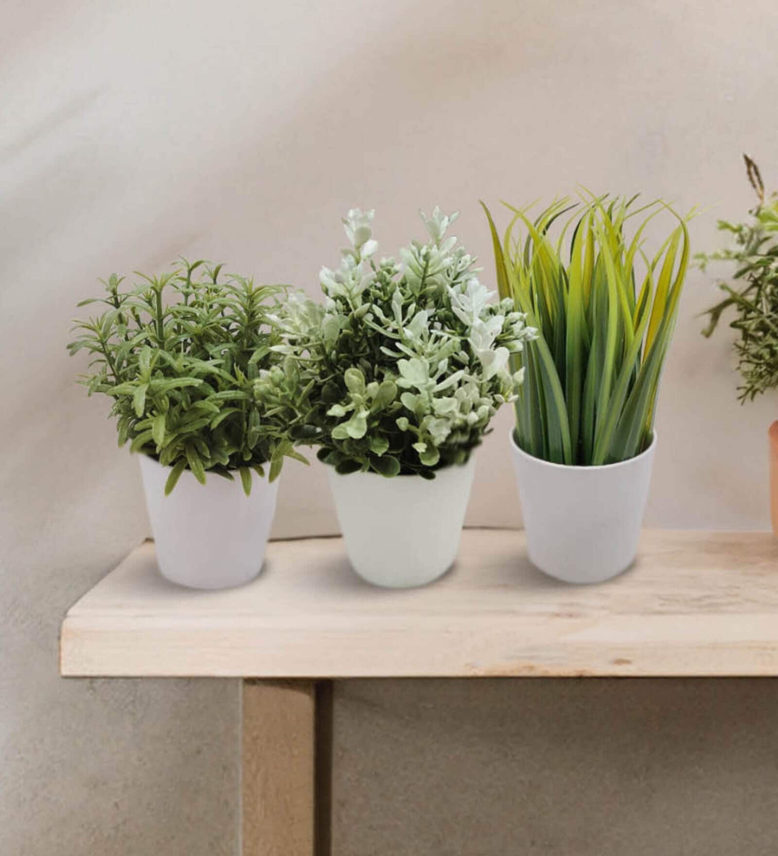 Buy Artificial Herbs Potted Plant Set of 3 (Rosemary, Wheatgrass, Thyme ...