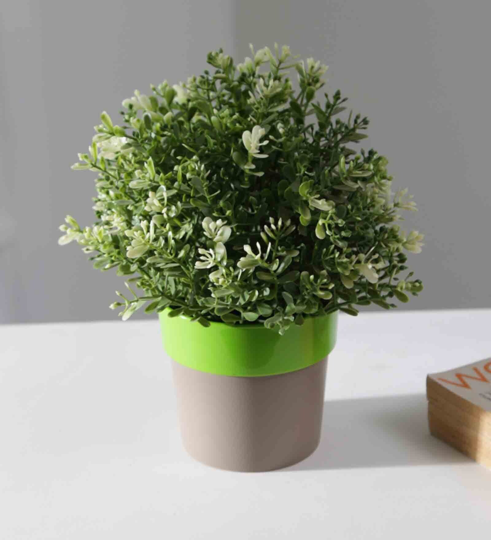 Buy Plastic Green Flower Desk Pots at 50% OFF by Planters | Pepperfry