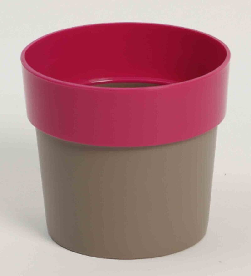 Buy Plastic Pink Flower Planter By Planters Online - Floor Planters ...