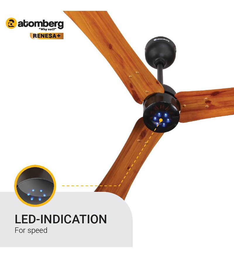 Buy Atomberg Renesa+ 900mm 28W BLDC 5 Star Rated High Speed Ceiling Fan ...