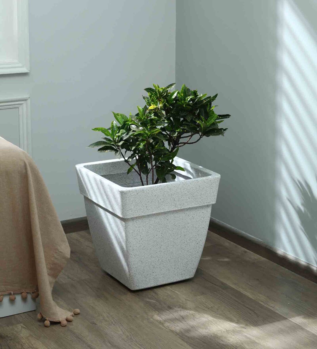 Buy White Polymer Floor Planter at 20% OFF by Planters | Pepperfry