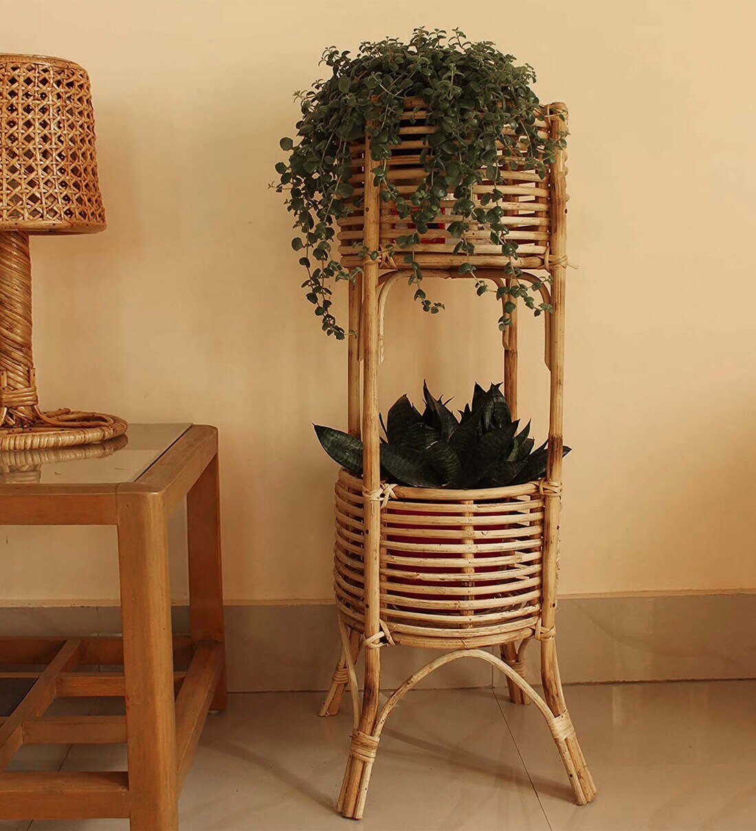 Buy Beige Assam Cane 2 Tier Planter Stand at 6% OFF by Zilver | Pepperfry