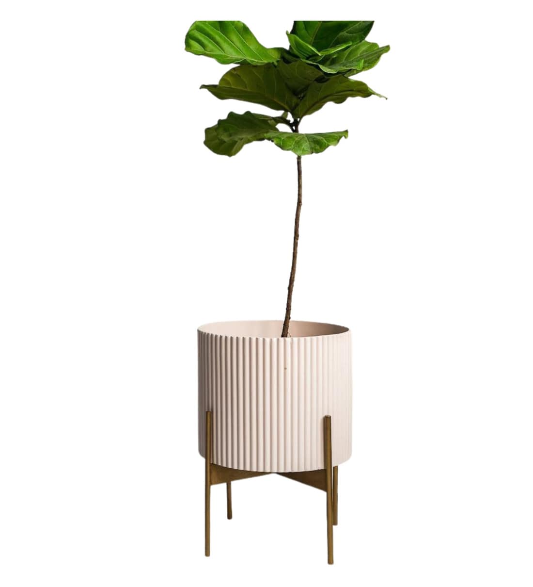 Buy Beige Large Midori Planter By Ripples Home Online - Big Planters ...