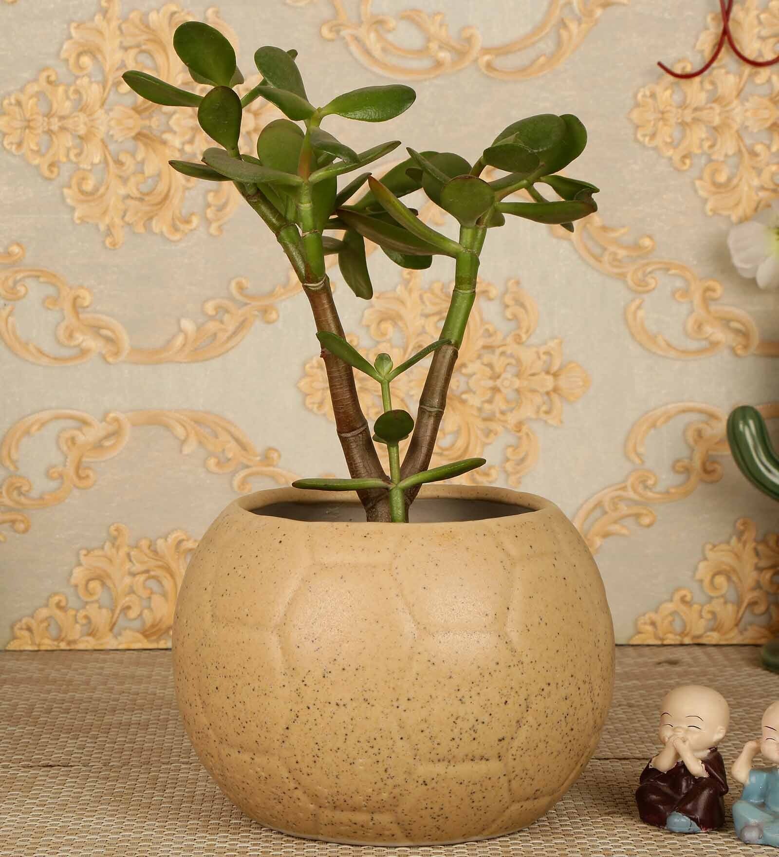 Buy Beige Ceramic Football Shape Desk Pot at 31% OFF by Justoriginals ...