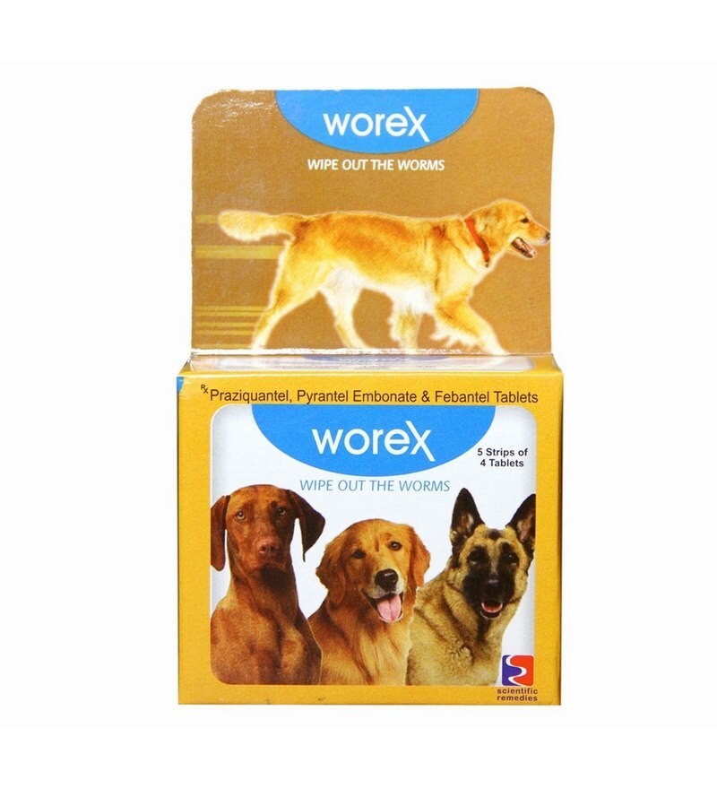 Will A Dog Starve Itself