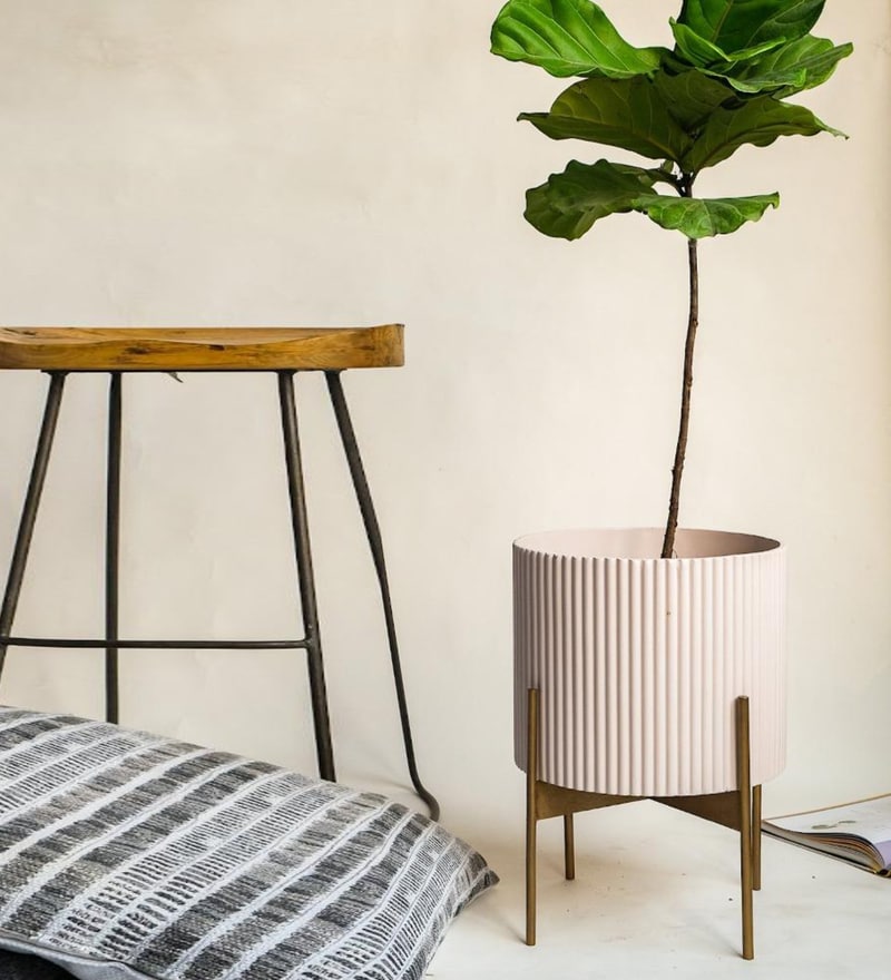 Buy Beige Large Midori Planter By Ripples Home Online - Big Planters ...