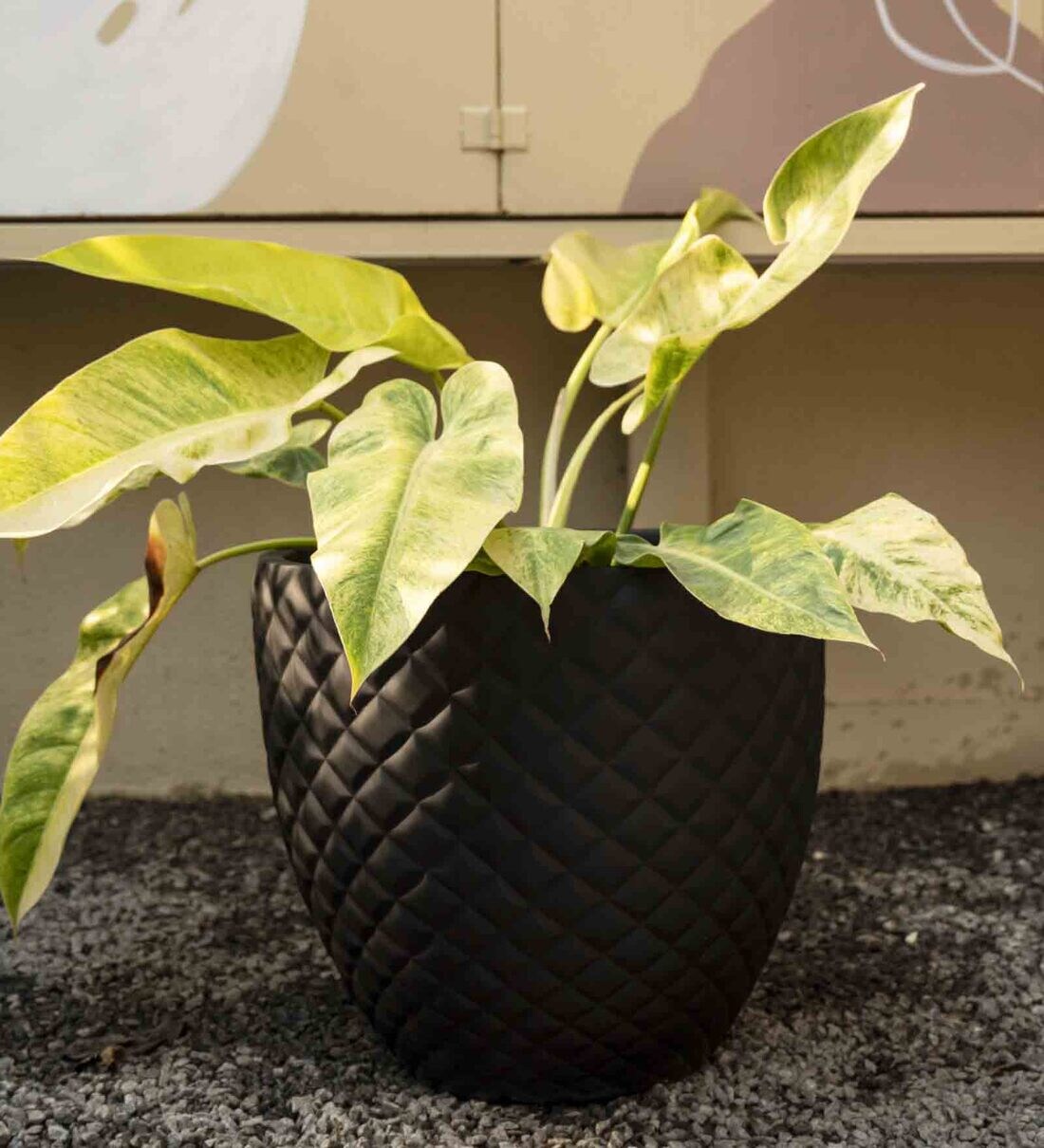Buy Black Fibre Polymer Star Hollows Medium Floor Planter By Curiocasa ...