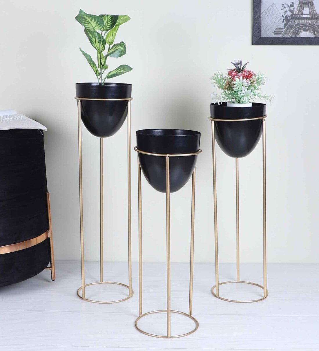 Buy Capsule Set Of 3 Black Iron Floor Planter at 20% OFF by Amaya ...