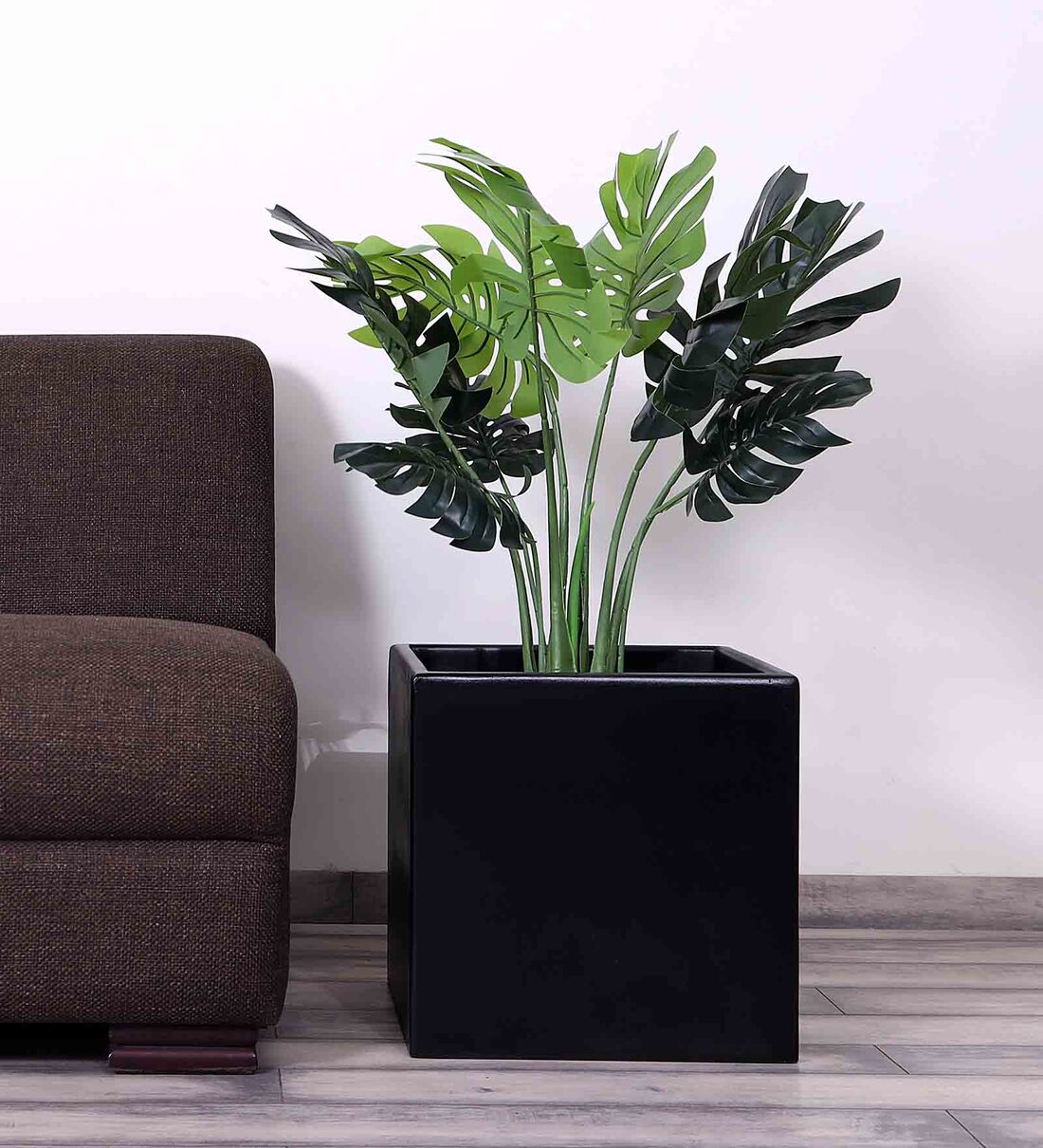 Buy Black Medium Fiberglass Square Shape Floor Planter at 29% OFF by ...