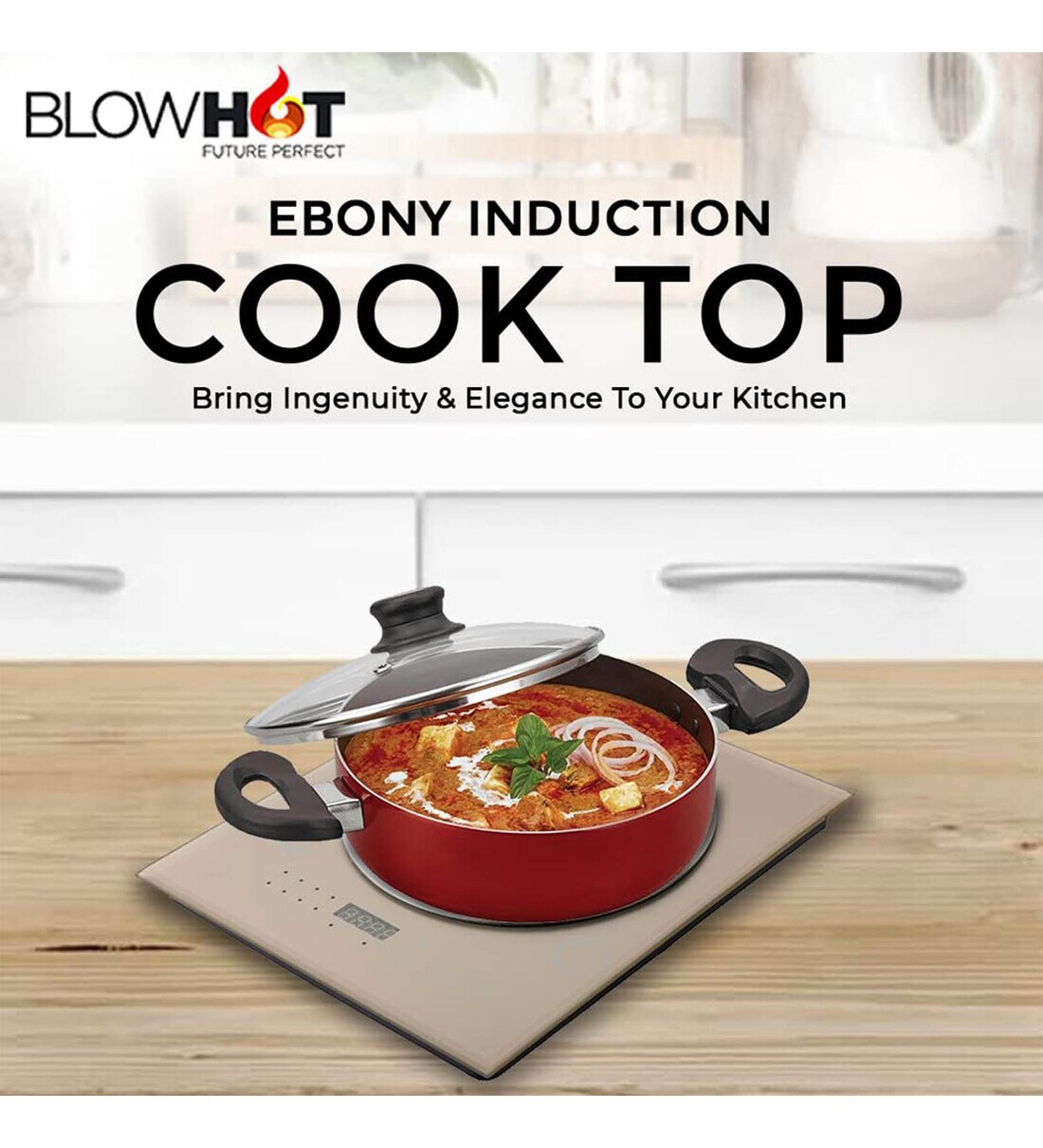 Buy BlowHot 2000 Watt Feather Touch Ebony Induction Cook Top - (Brown ...