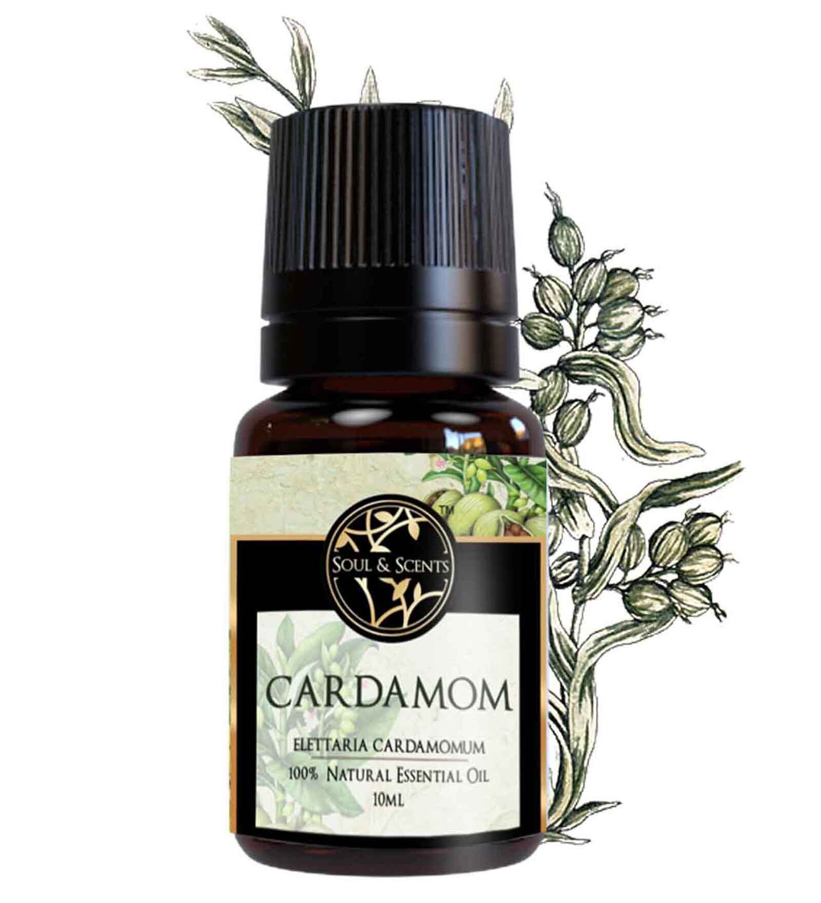Buy Cardamom Essential Oil at 15% OFF by Soul & Scents | Pepperfry