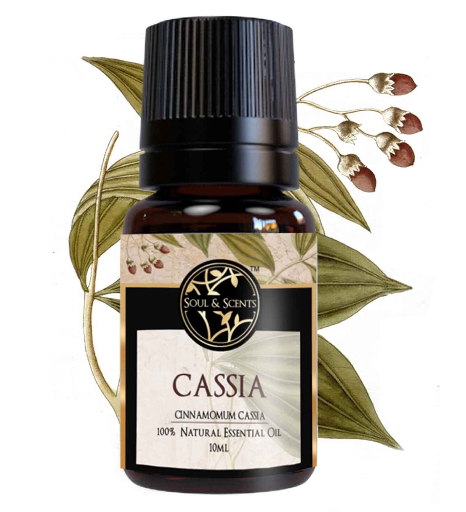 Buy Cassia Essential Oil at 15% OFF by Soul & Scents | Pepperfry