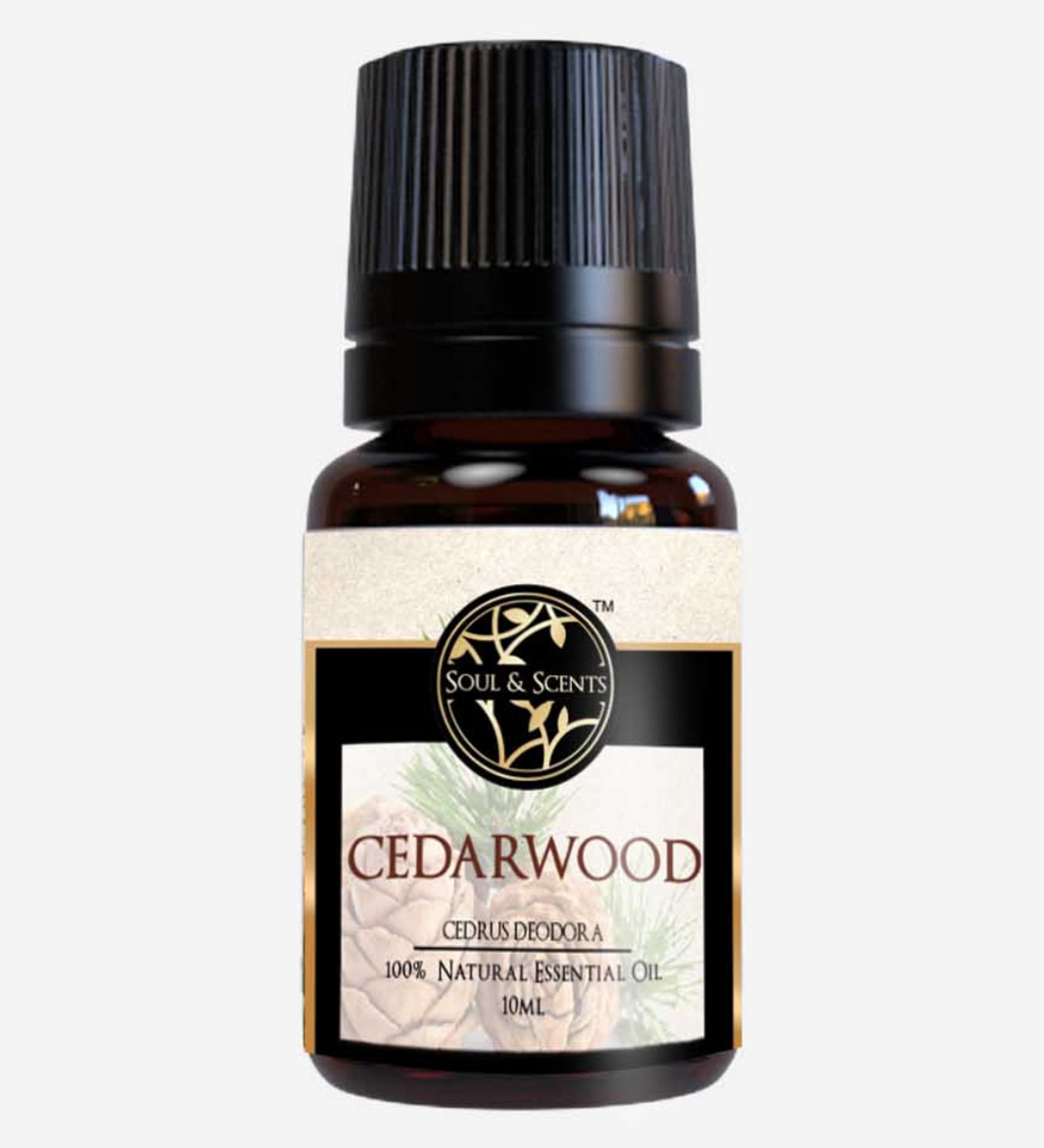 Buy Cedar Wood Essential Oil at 15% OFF by Soul & Scents | Pepperfry