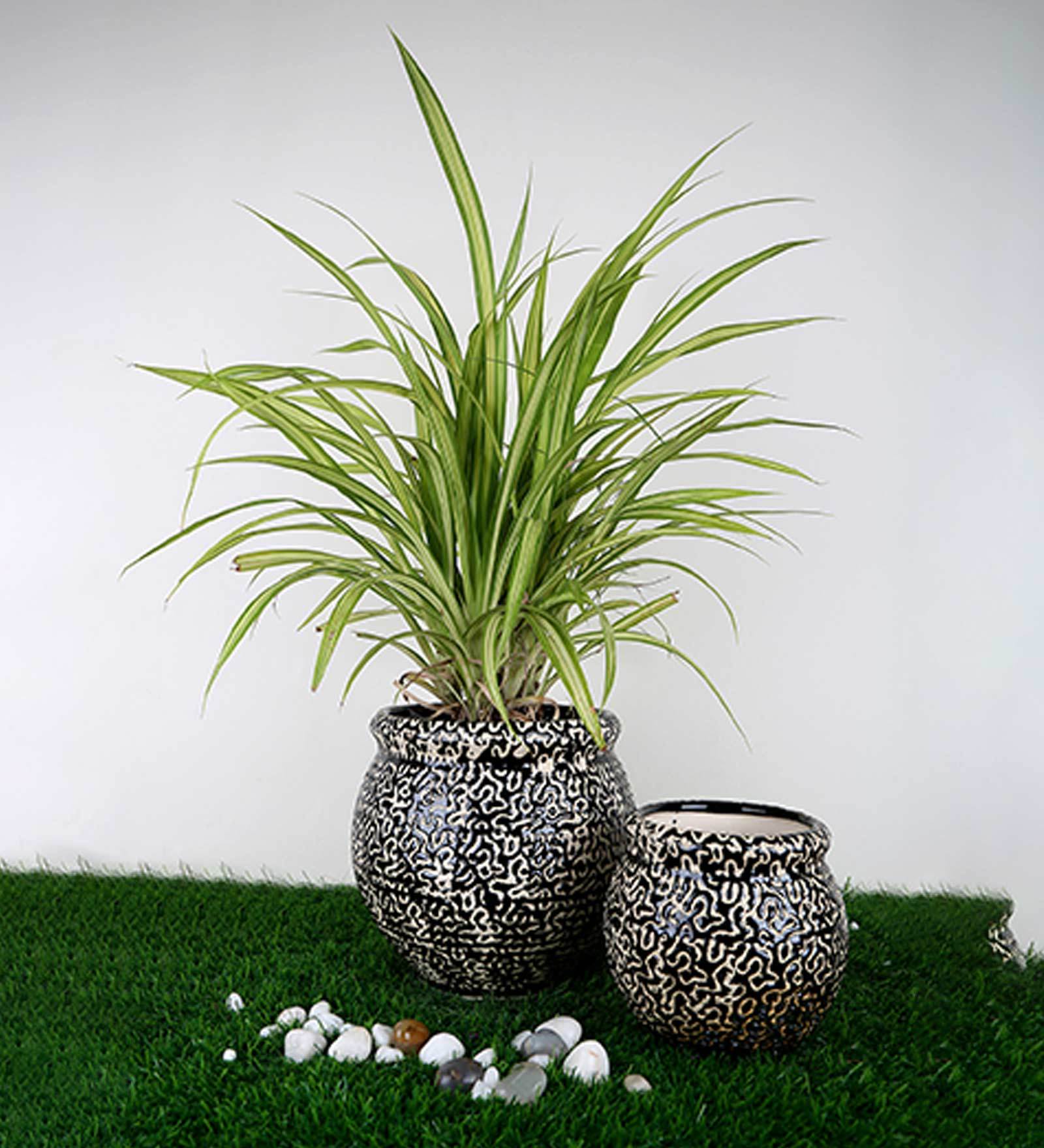 Buy Black Ceramic Gandah with RD Print Small Planter by Justoriginals ...