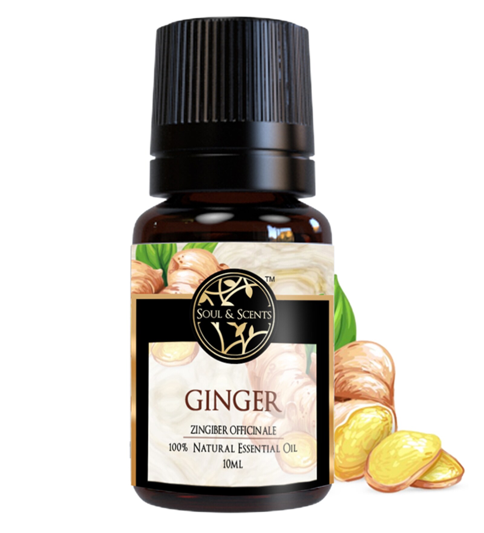 Buy Ginger Essential Oil at 15% OFF by Soul & Scents | Pepperfry