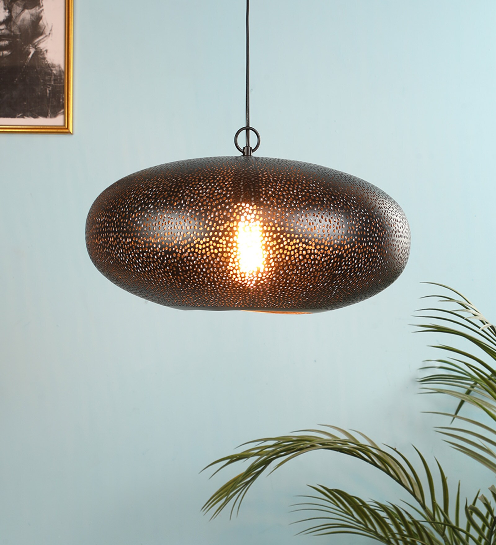 Buy Delicea Black Metal Hanging Light by Kapoor LampShades at 75% OFF ...
