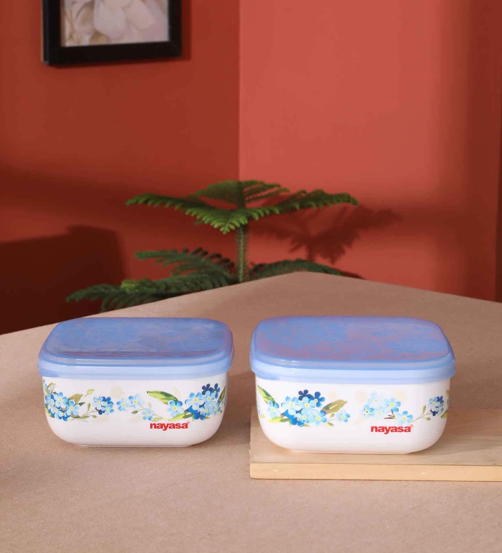 Buy Blue Athena Plastic Container (Set of 2) by Nayasa at 28% OFF by ...