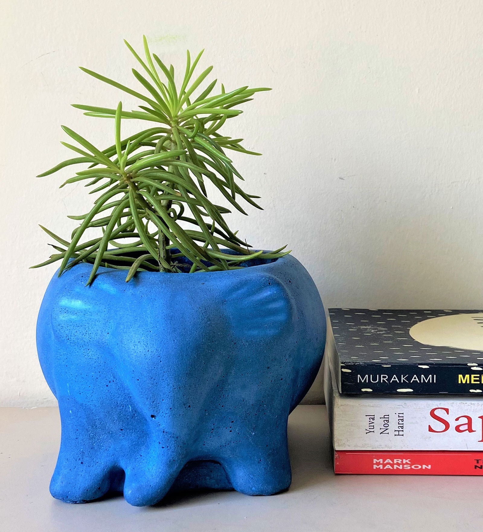 Buy Blue Cement Sweet tooth- Elephant Concrete Handcrafted Planter by ...
