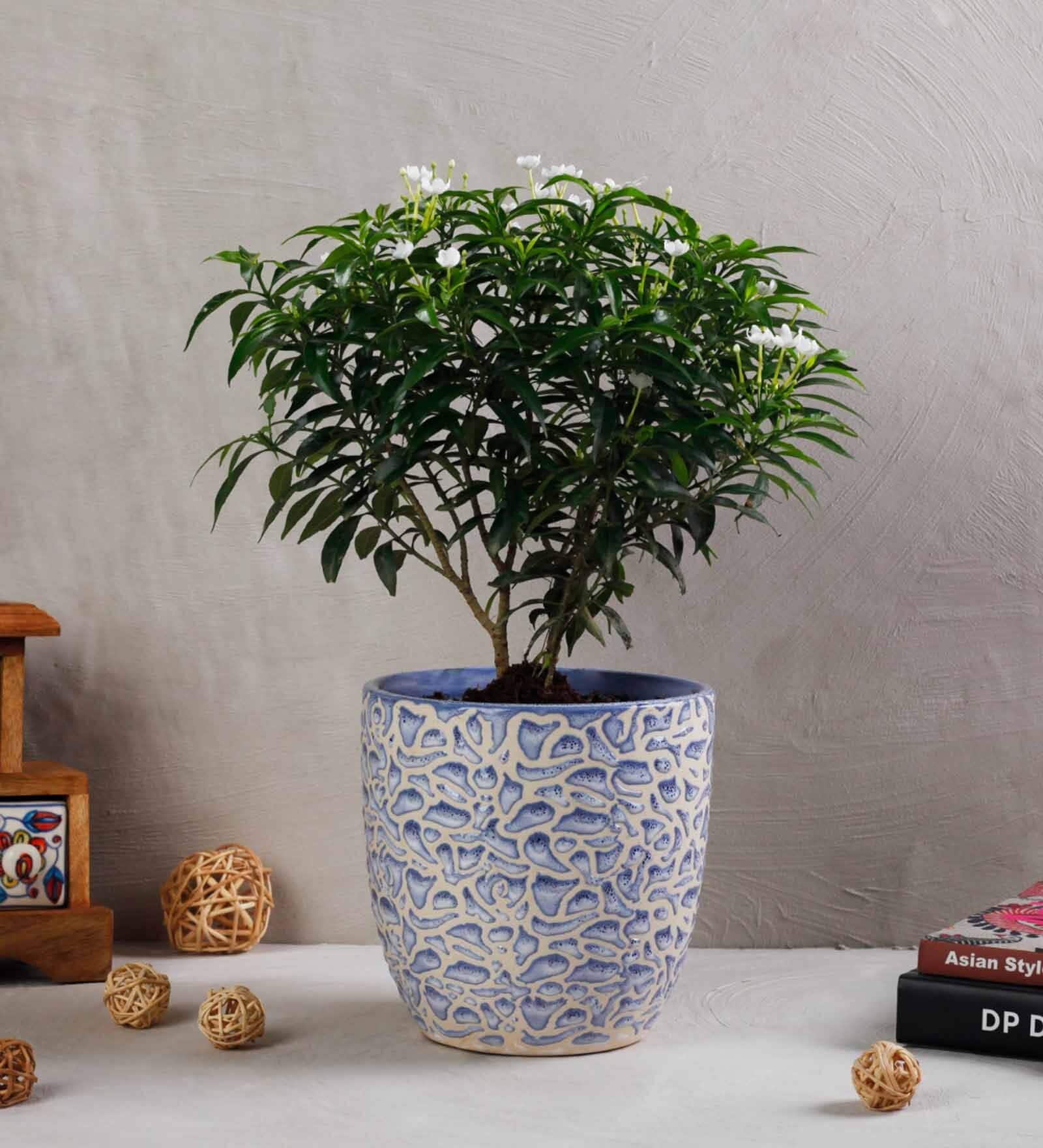 Buy Blue Ceramic Ocean Desk Pot at 25% OFF by The 7th Dekor | Pepperfry
