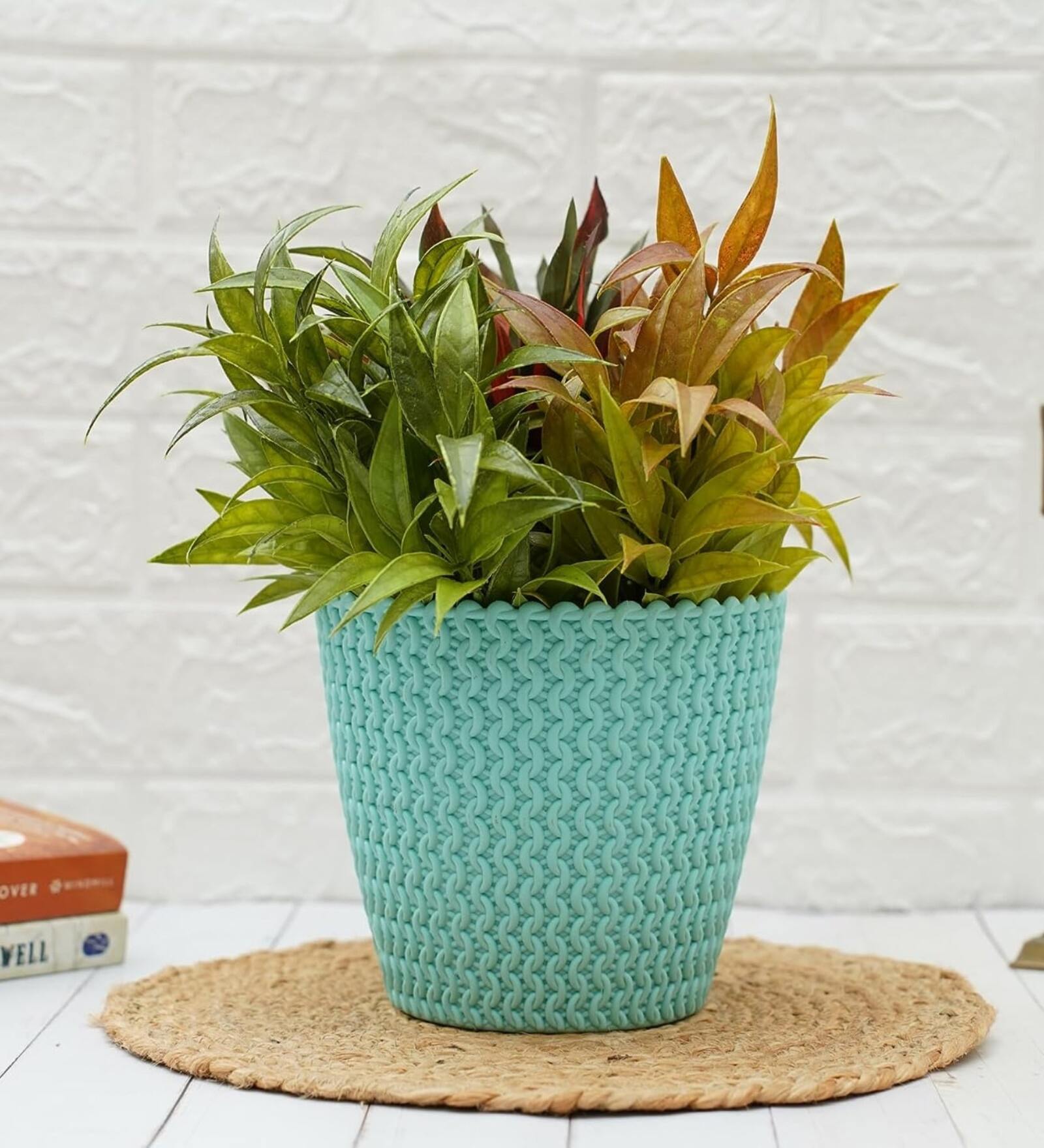 Buy Blue Plastic Desk Pot at 43% OFF by Gold Dust | Pepperfry