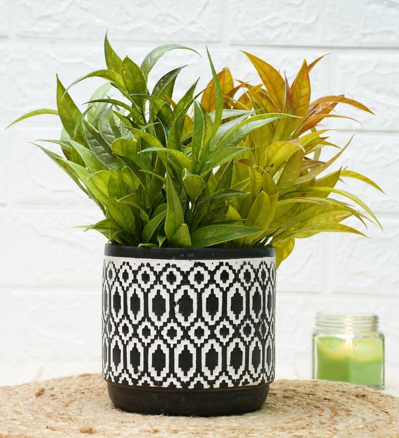 Buy Black Ceramic Aztec Planter By Gold Dust Online - Floor Planters ...