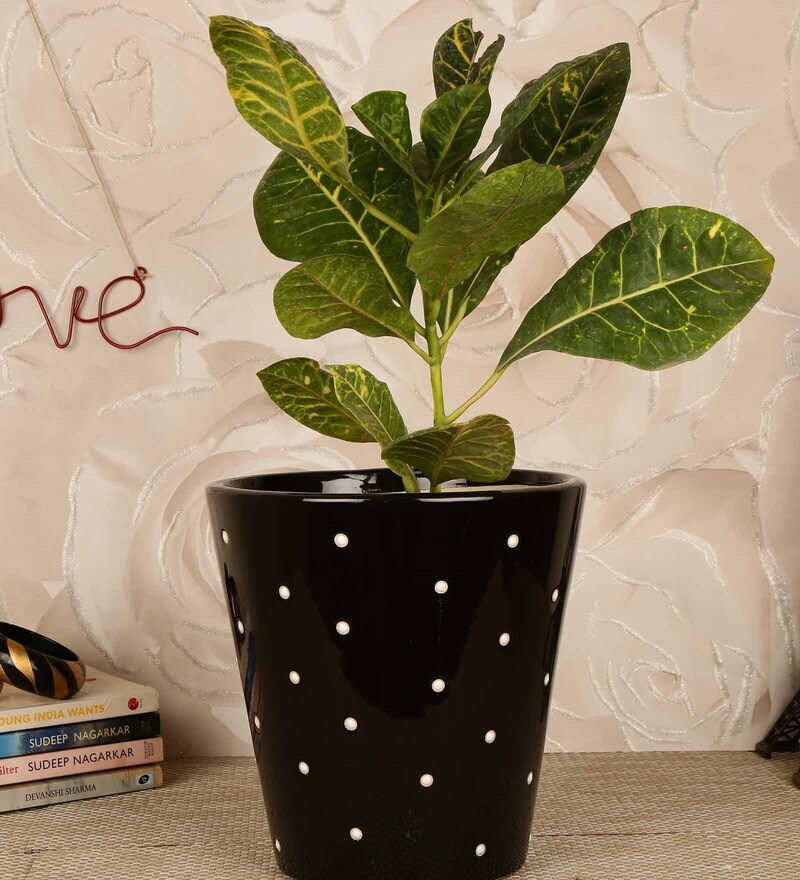 Buy Black Ceramic Balti Shape Desk Pot, Set of 3 by Justoriginals ...