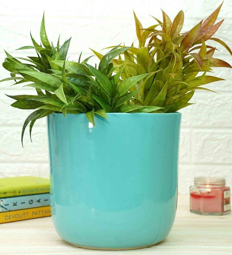 Buy Blue Ceramic Big Planter By Gold Dust Online - Big Planters - Pots ...
