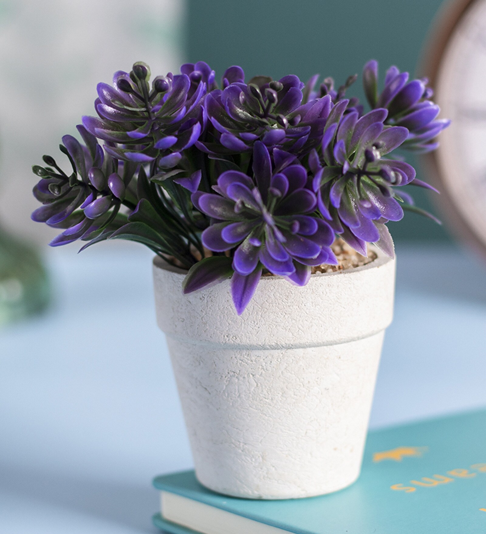 Buy Bonsai Bush Planter with pot By Market 99 at 75% OFF by Market 99 ...