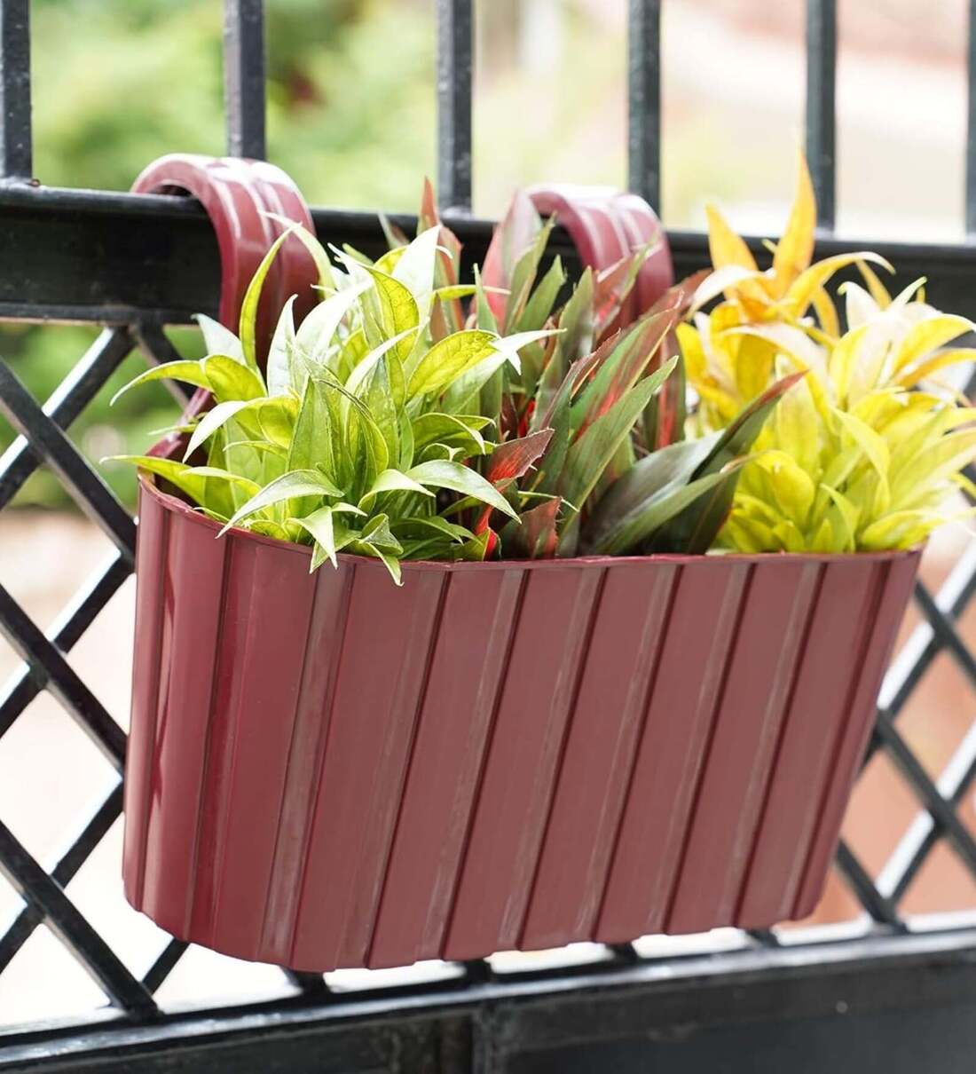 Buy Brown Plastic (Set of 4) Railing Planters at 23% OFF by Gold Dust ...