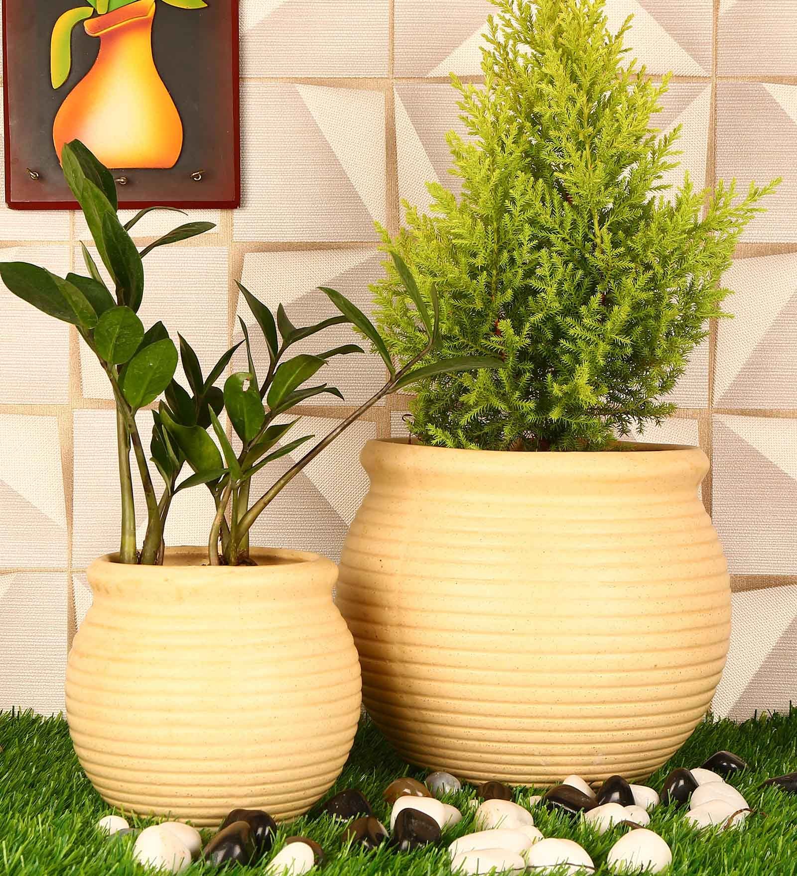Buy Brown Ceramic Gandah With Churi Flower Pot, Set Of 2 at 23% OFF by ...