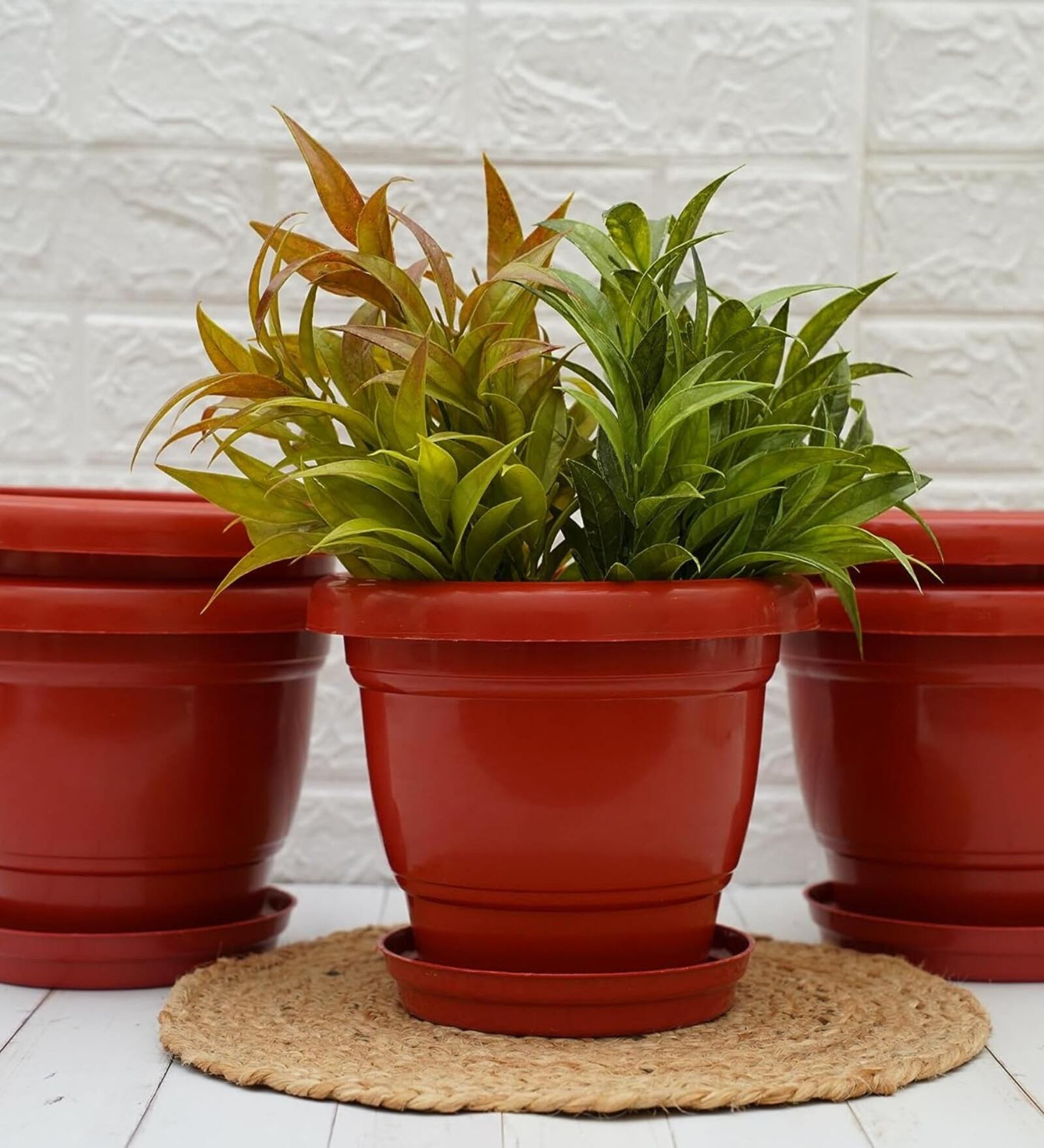 Buy Brown Plastic (Set of 5) Desk Pots at 31% OFF by Gold Dust | Pepperfry