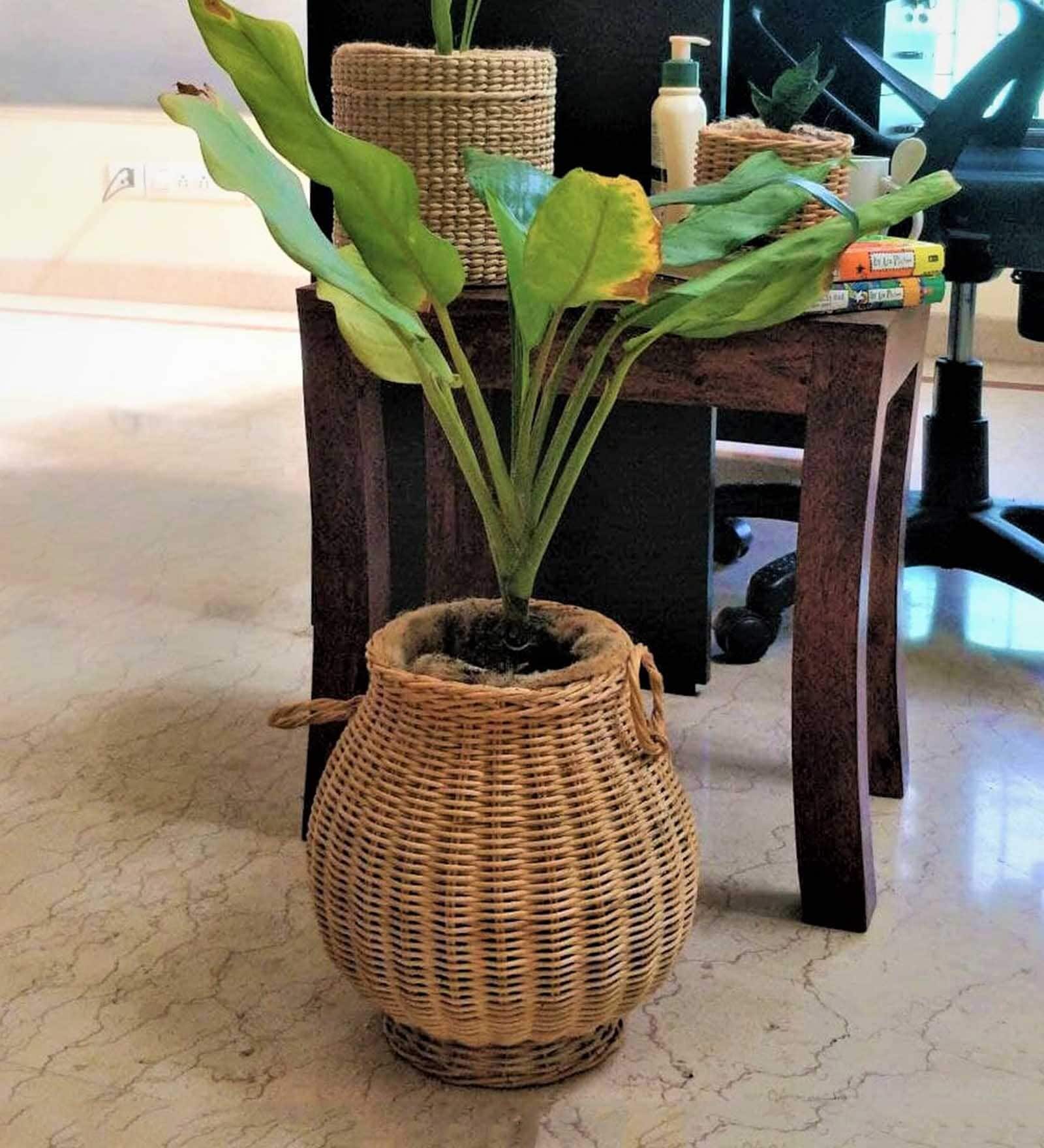 Buy Brown Reed Rustic Floor Planter by Trellis Bliss at 14% OFF by ...