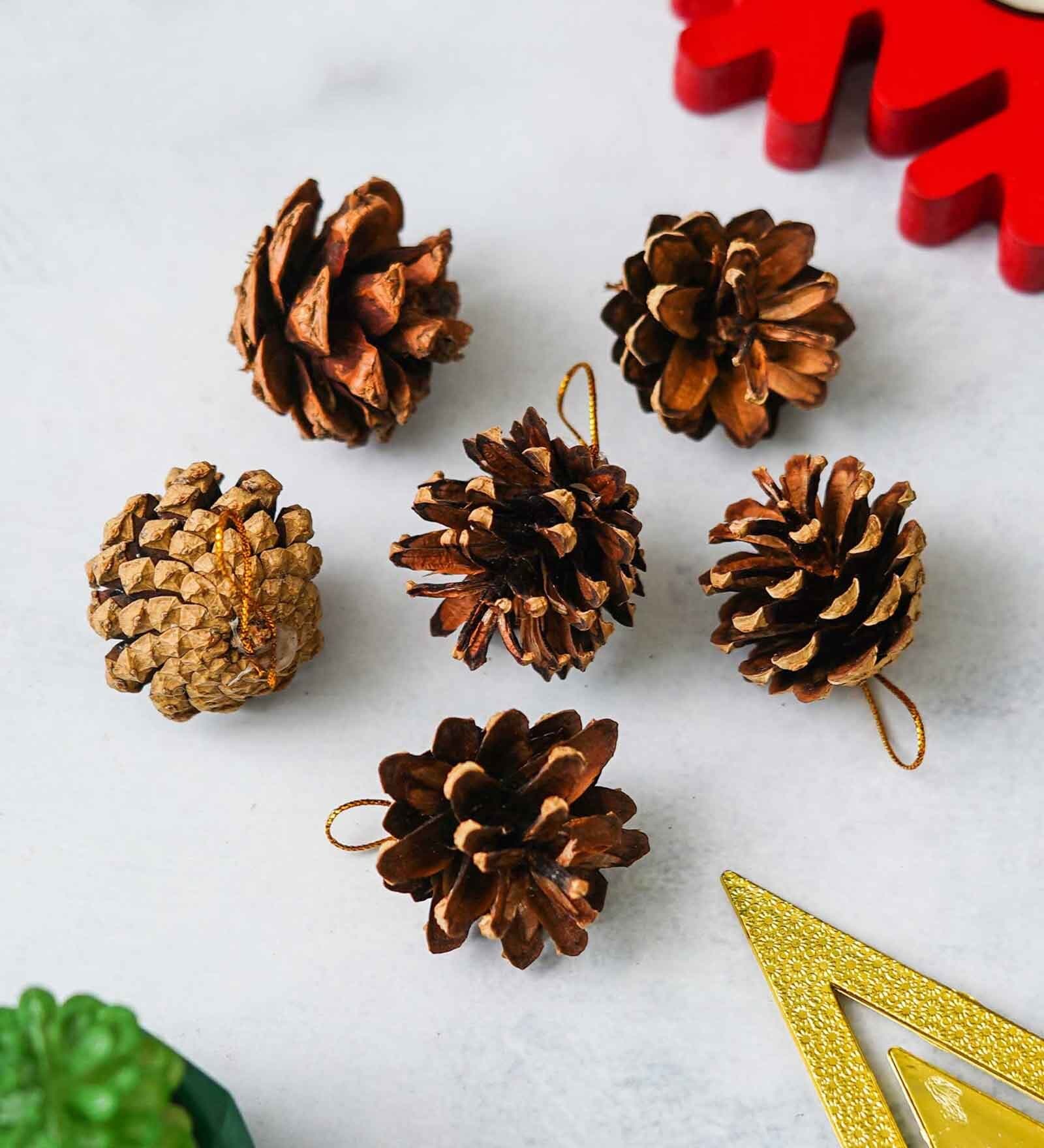 Buy Brown Wood Natural Pine Cone (Set of 6) at 44% OFF by eCraftIndia ...