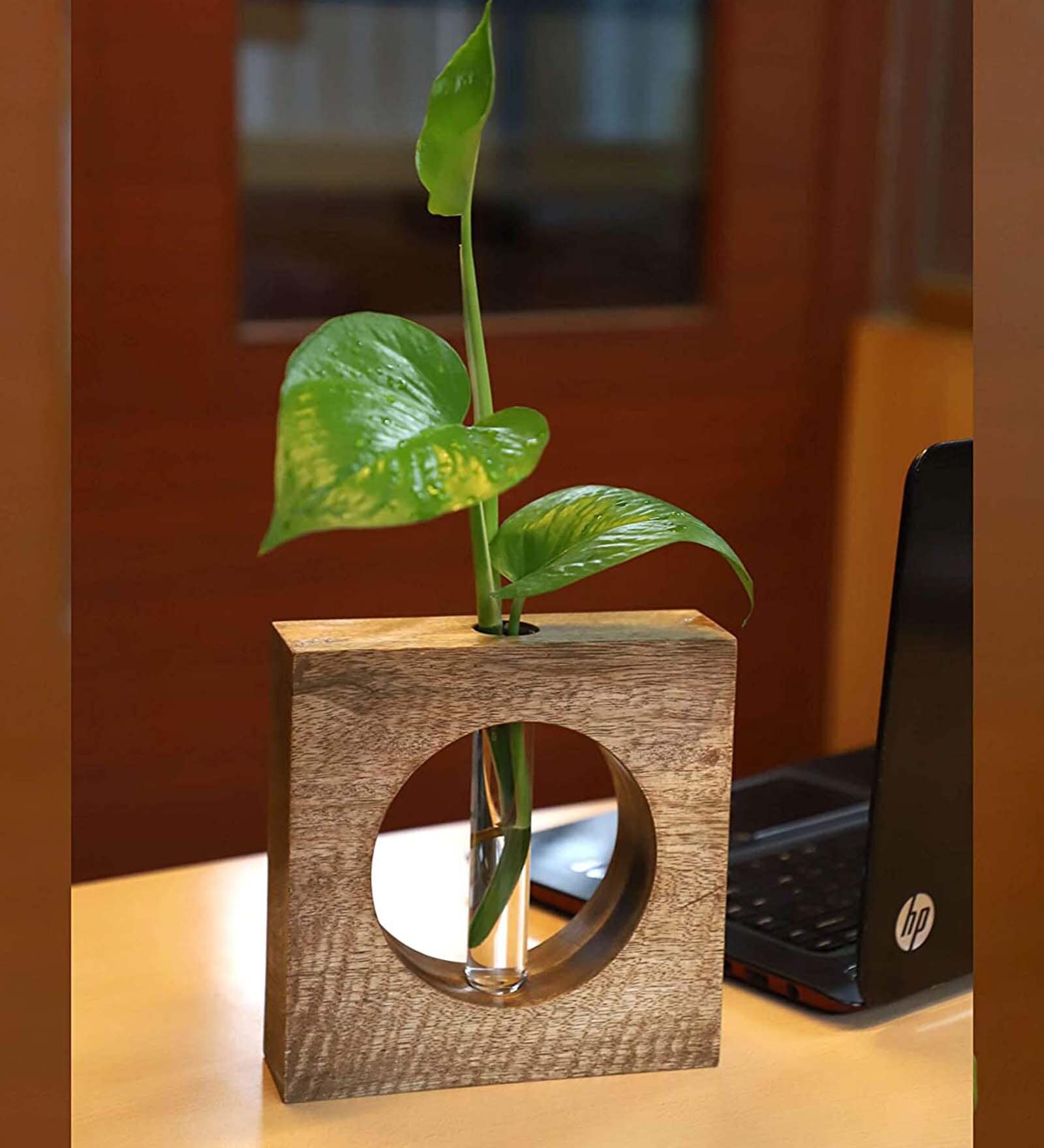 Buy Brown Wooden Square Shape Desk Pot Desk Pot With Test Tube at 33% ...