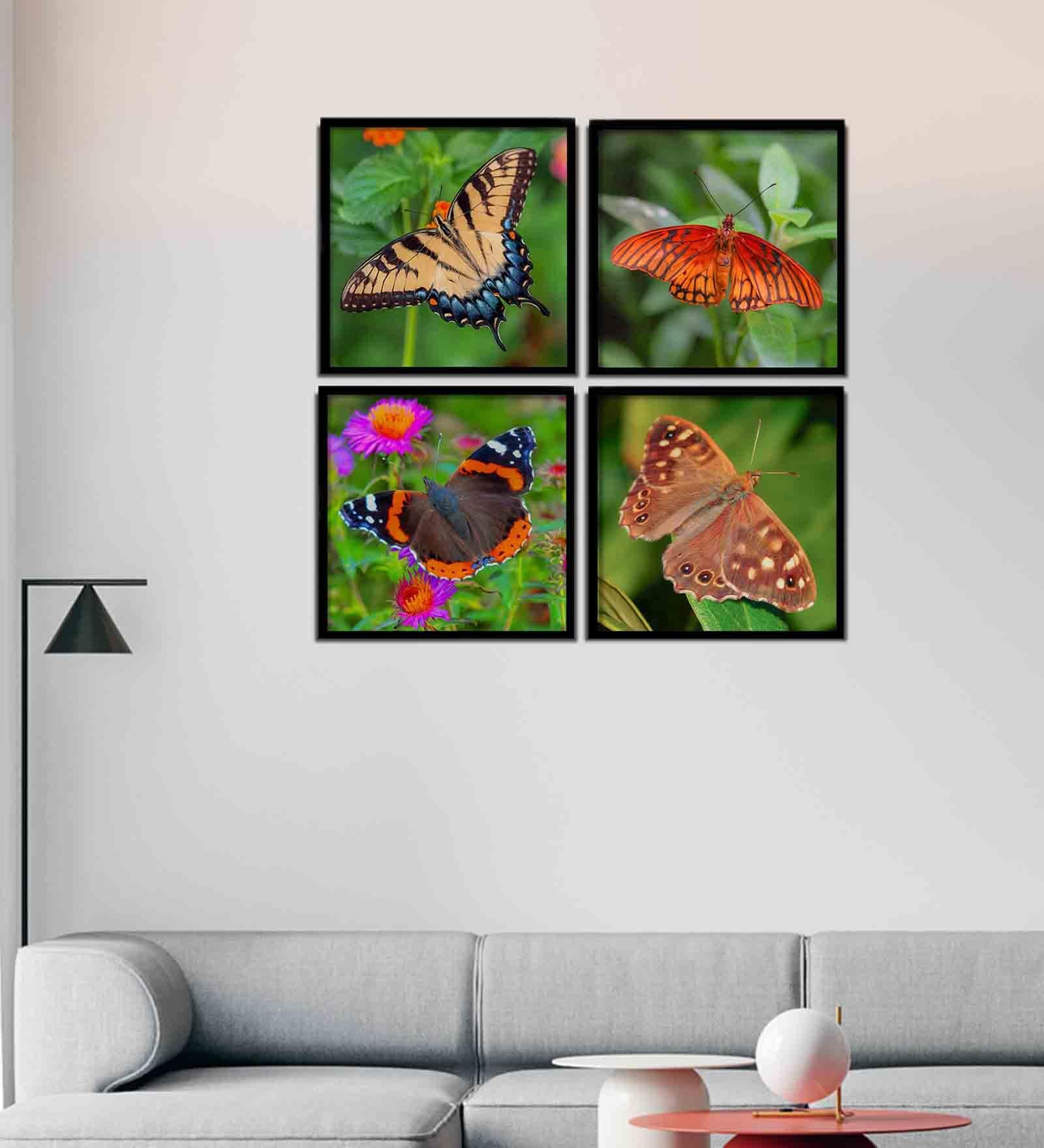 Buy Wild Butterfly Brown Engineered Wood Framed Wildlife Art Print Set ...