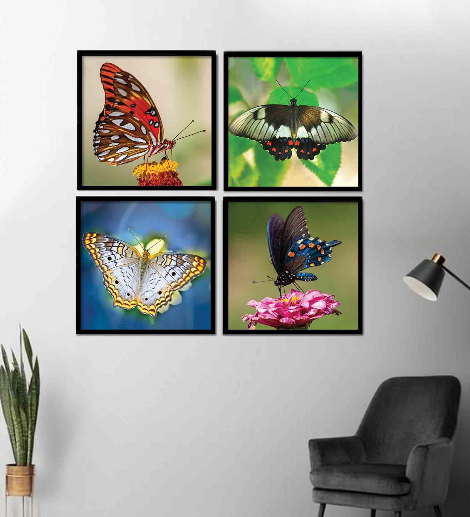 Buy Butterflies Brown Engineered Wood Framed Wildlife Art Print Set of ...
