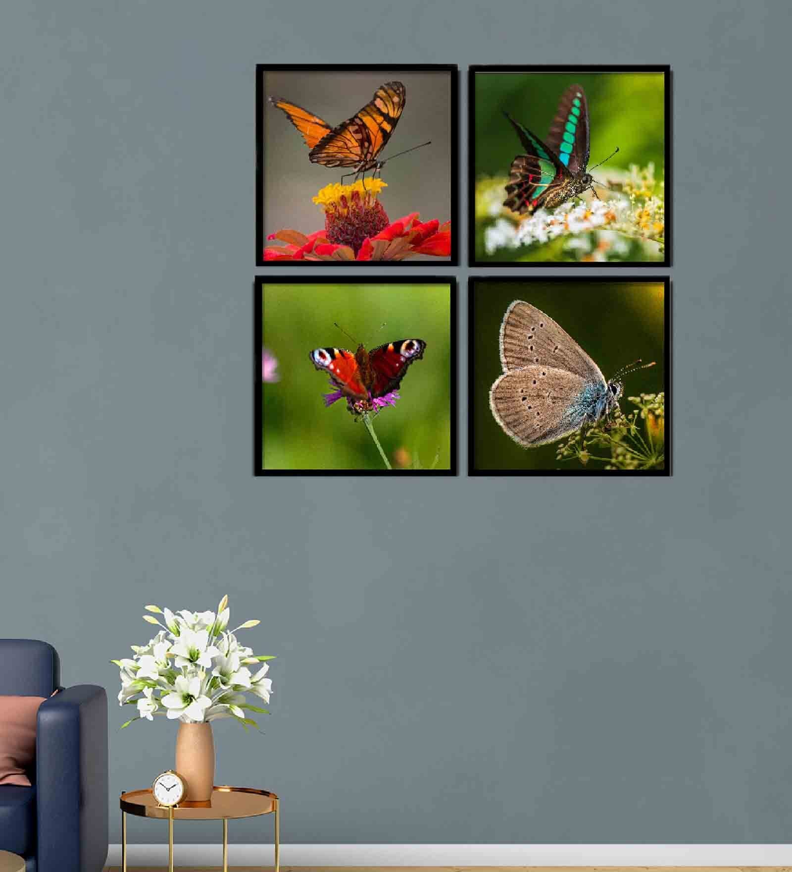 Buy Butterfly Brown Engineered Wood Framed Wildlife Art Print Set of 4 ...