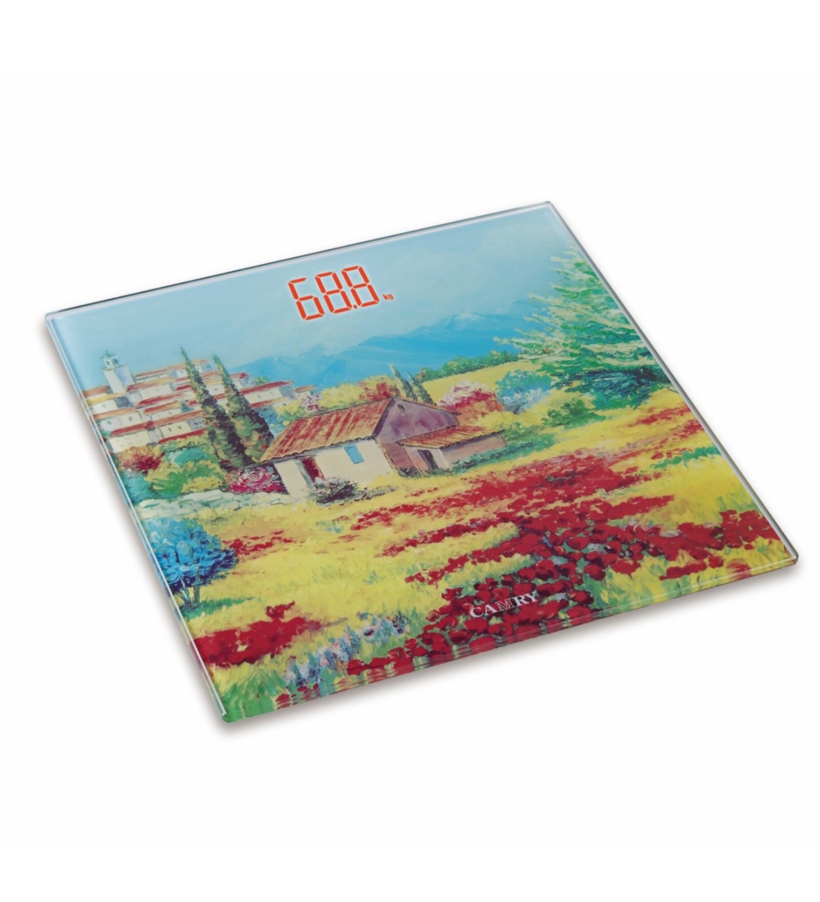 Buy Glass Weighing Scale in Multicolour by Camry Online - Weighing ...