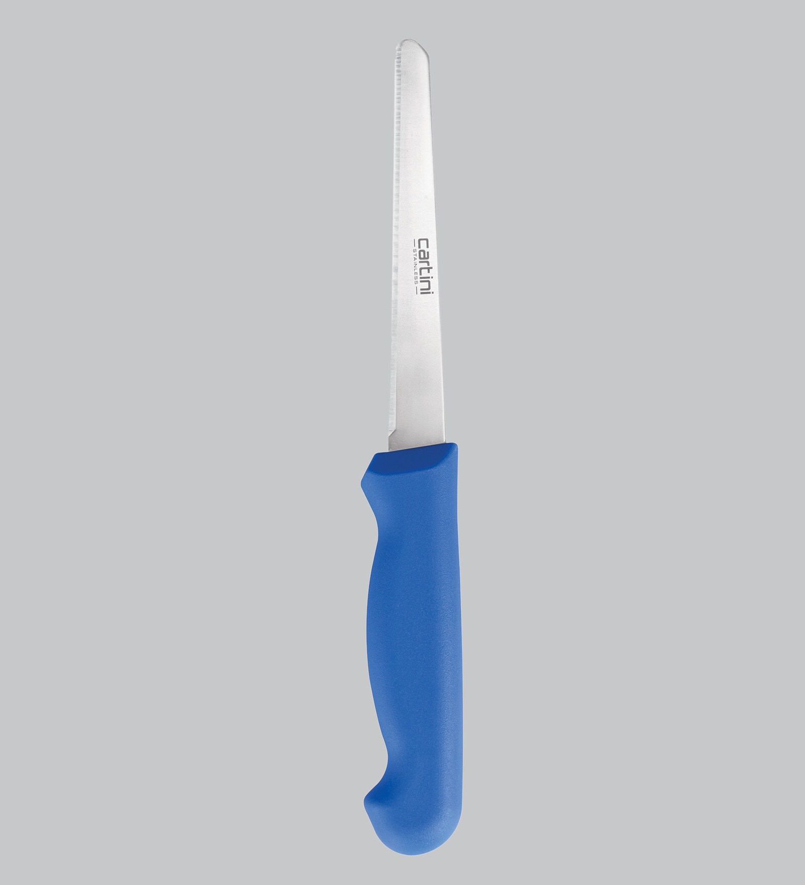 Buy Cartini Super Slicing Knife ,Stainless Steel, 276 MM Online ...