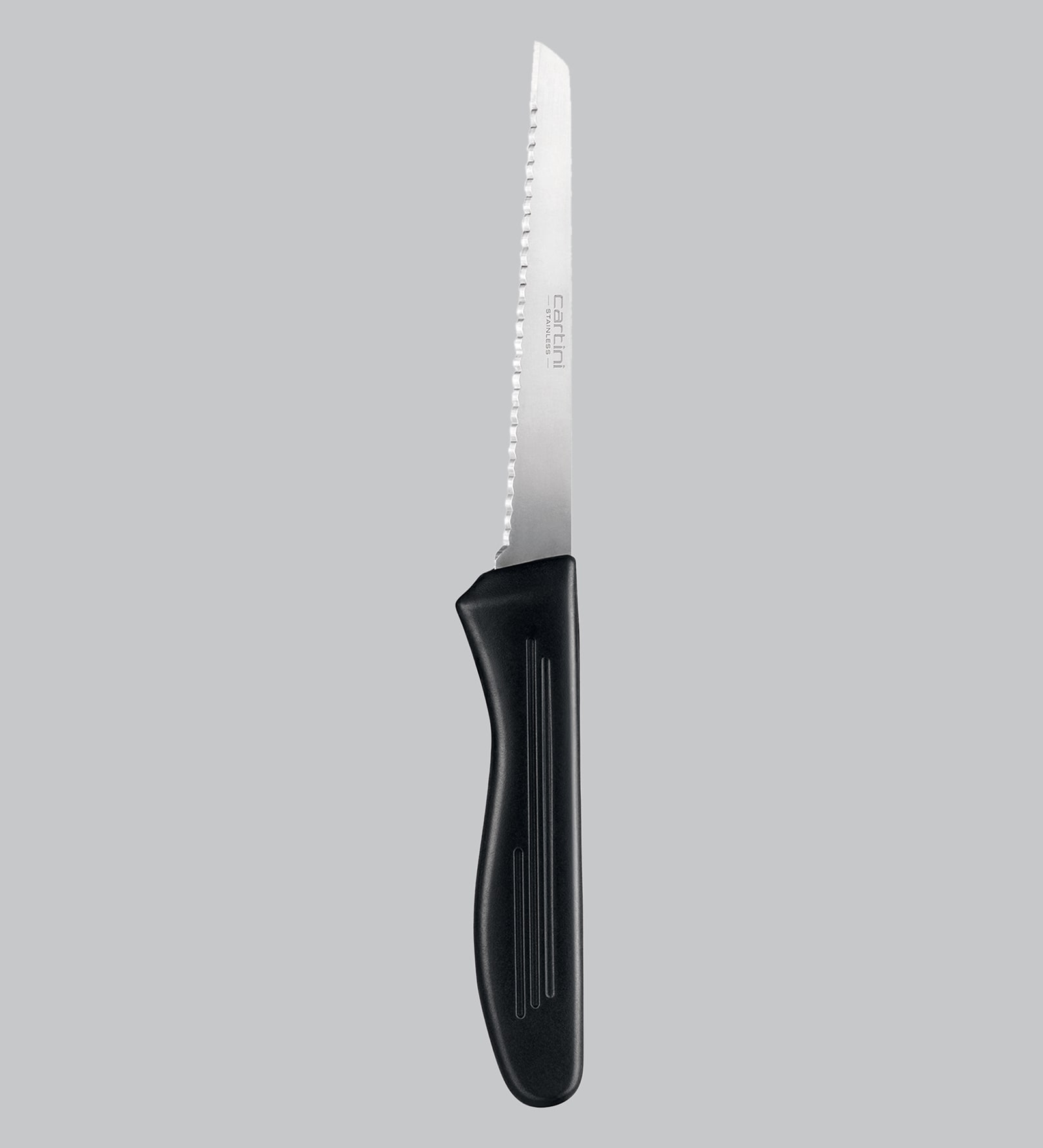 Buy Cartini vegtable Knife 2 ,Stainless Steel, 240 MM Online ...