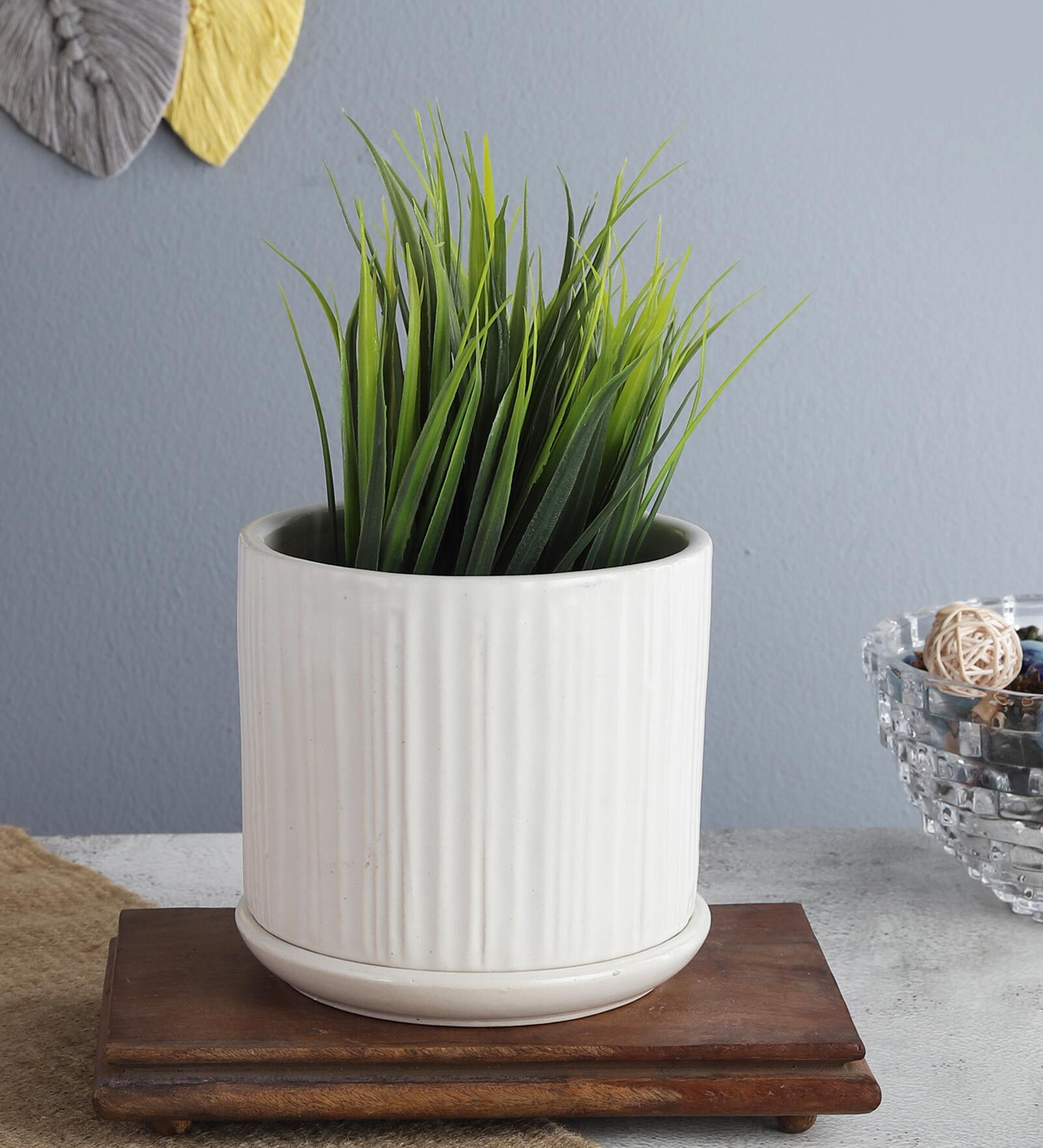 Buy Classic Ivory Ceramic Ribbed Texture White Planter at 64% OFF by ...