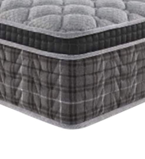 Springfit Mattresses : Buy Springfit Mattresses Online in India @ Best ...