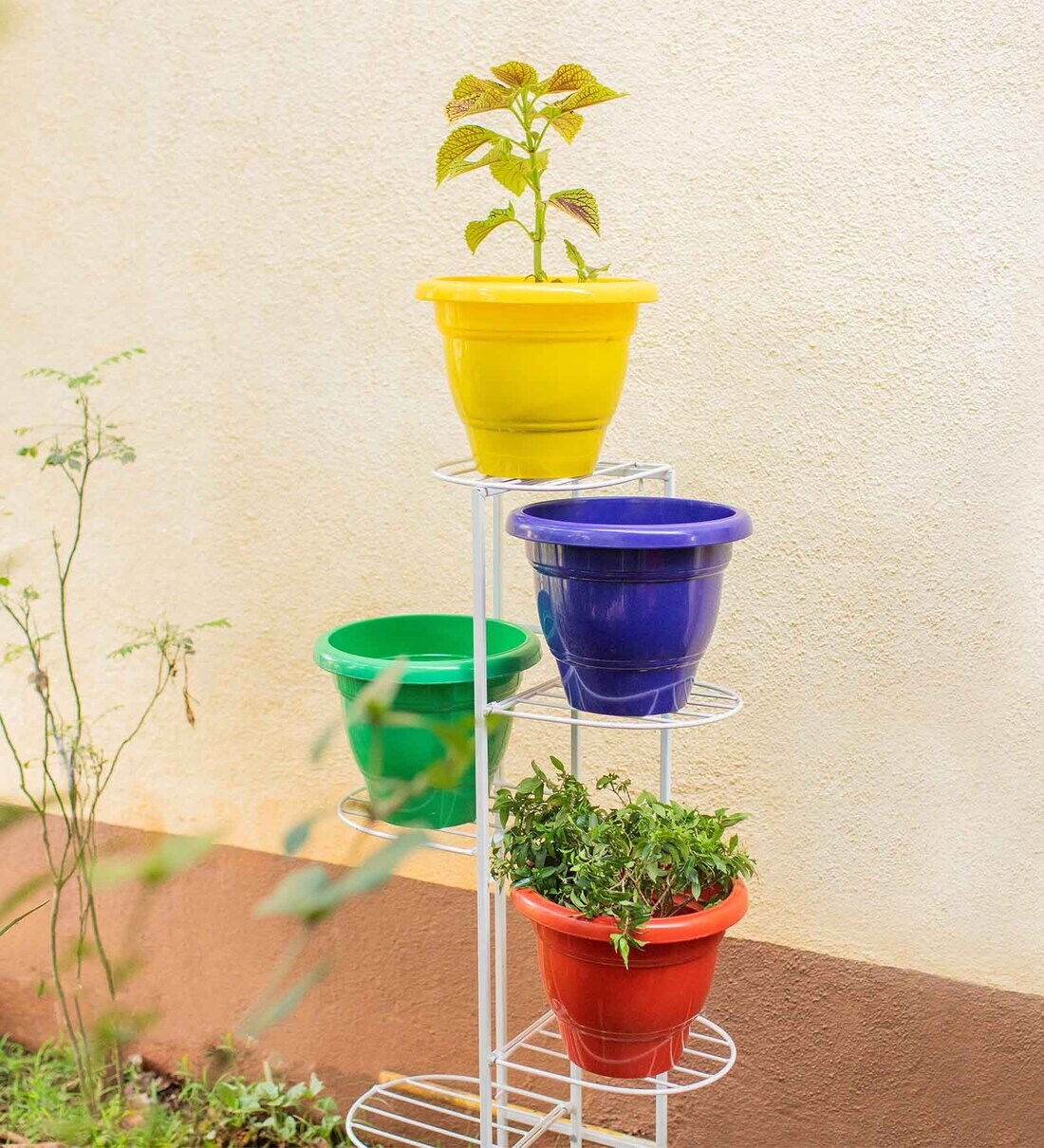 Buy Colourful Deluxe Planters 10inch Set of 6 at 42% OFF by 10Club ...